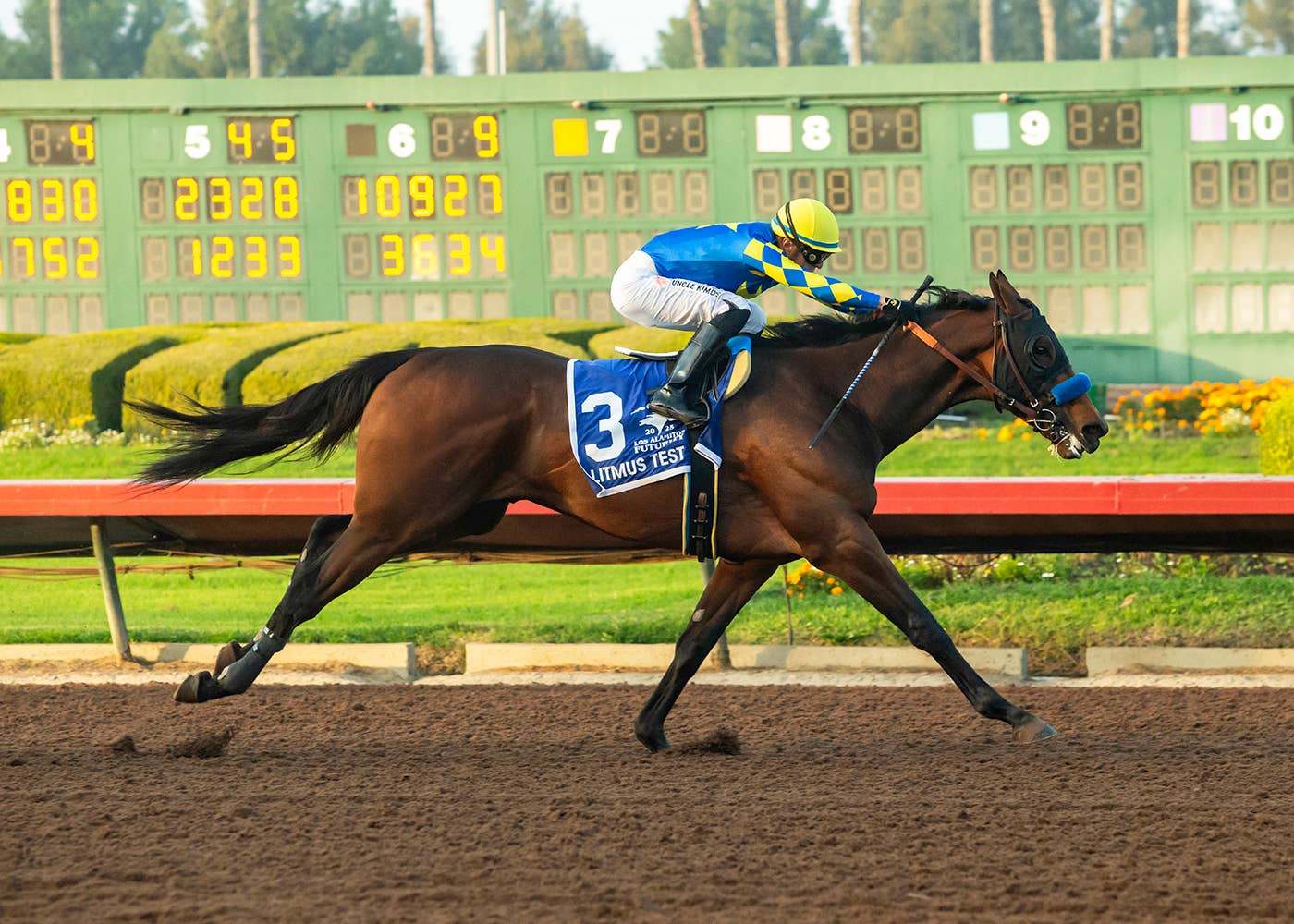 Bloodlines Presented By Walmac Farm: Nyquist's Roadmap To Study Hard ...