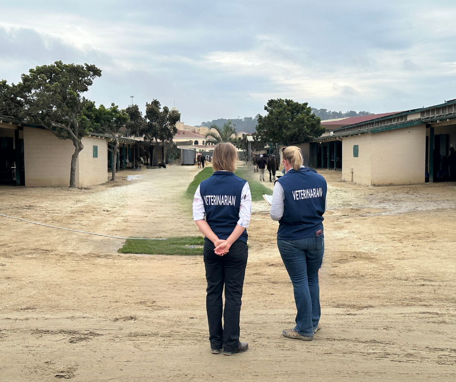 Regulatory Vets In Three Major Racing Jurisdictions Now Using ‘Gait ...