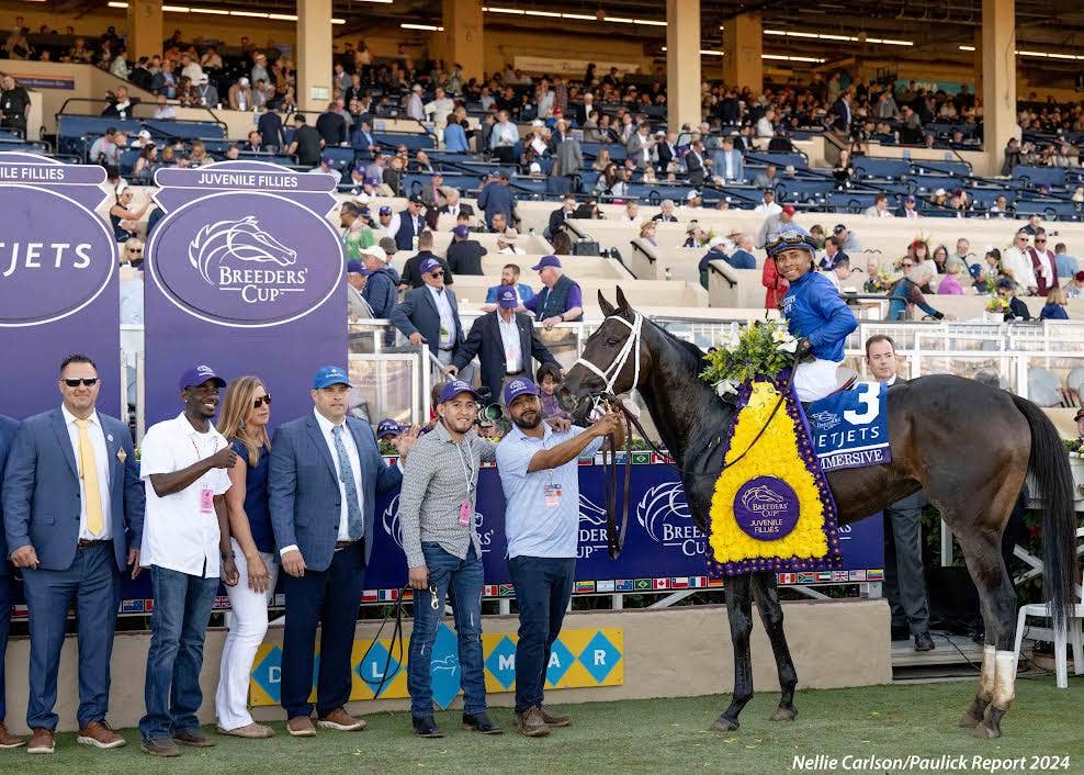 Equibase Analysis: Immersive Poised For Big Effort In Shawnee - Paulick ...