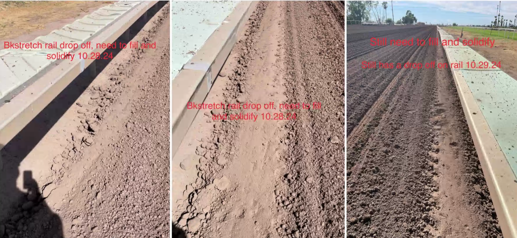 ‘Have My Horses Been Training On An Inferior Track?’: Two Horses Dead ...