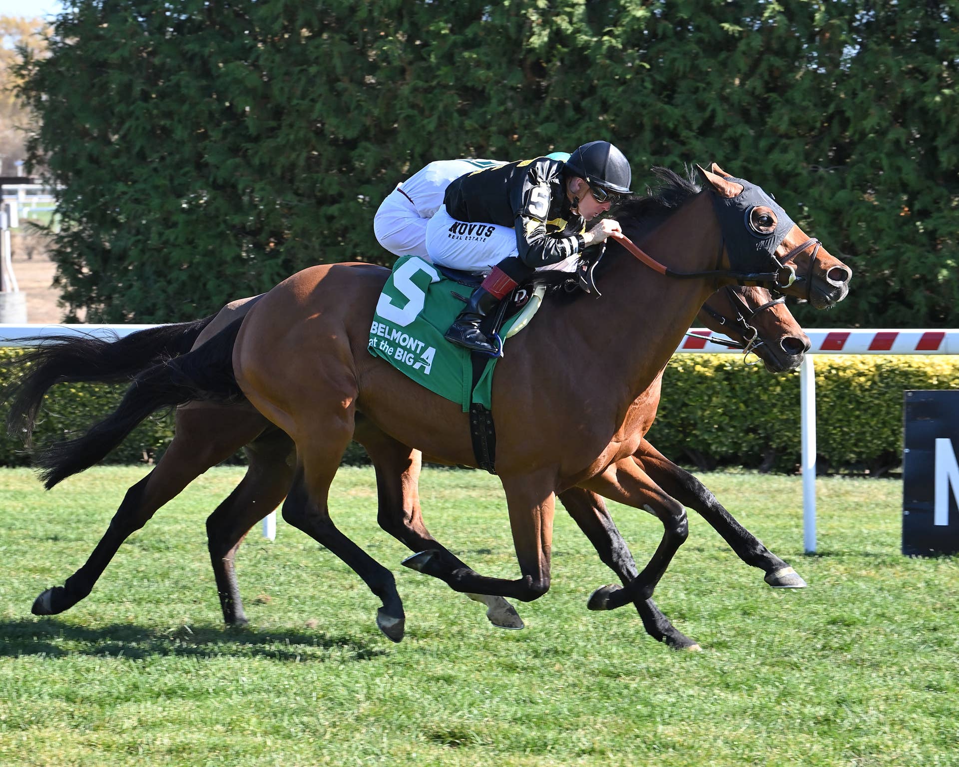 Running Bee Continues New York Success With Artie Schiller Score ...