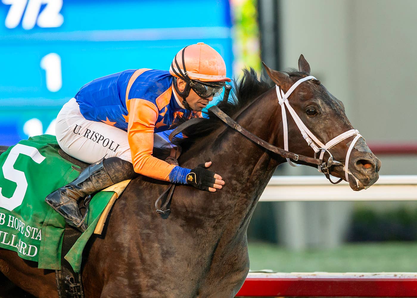 Bloodlines Presented By Walmac Farm: Bob Hope Winner Bullard Represents ...