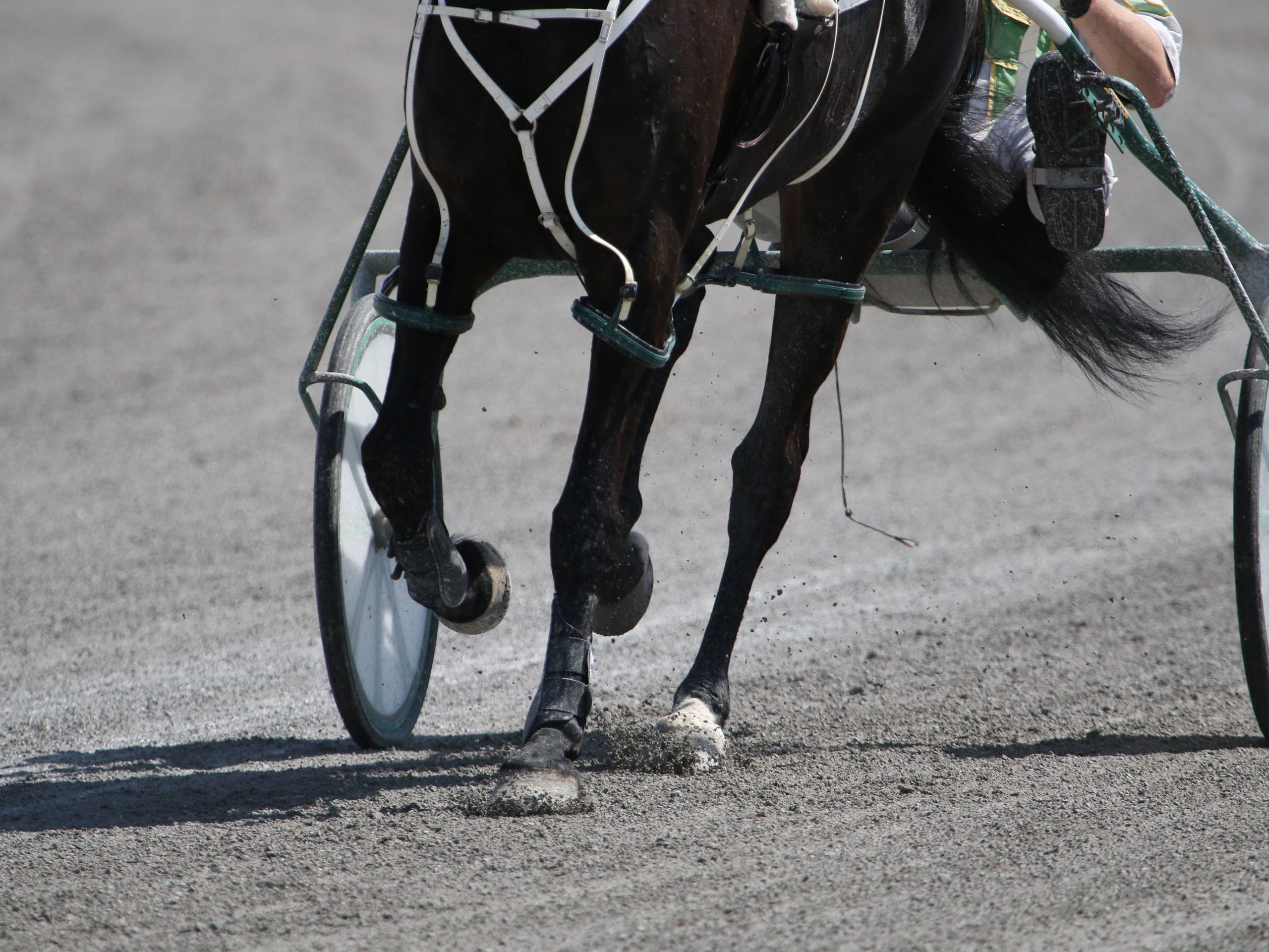 Horse racing opinion and analysis by the Paulick Report - Paulick Report