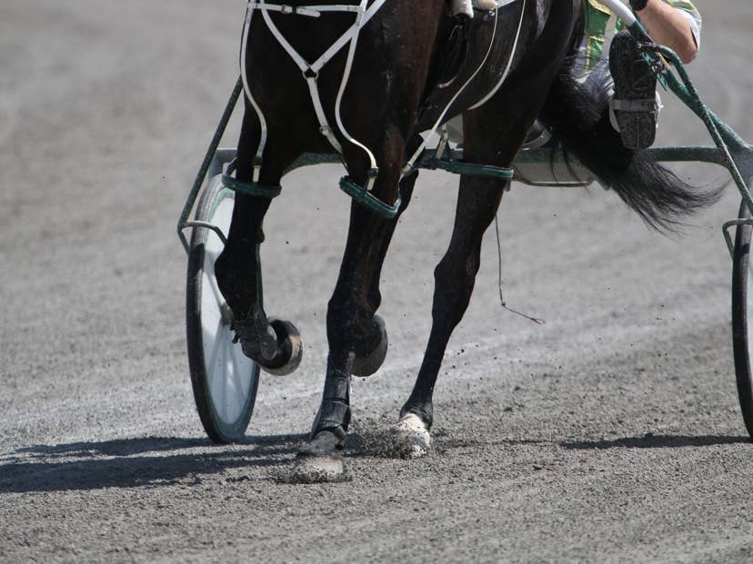Top Harness Driver Brett Beckwith Taken To Hospital After Pre-Race ...