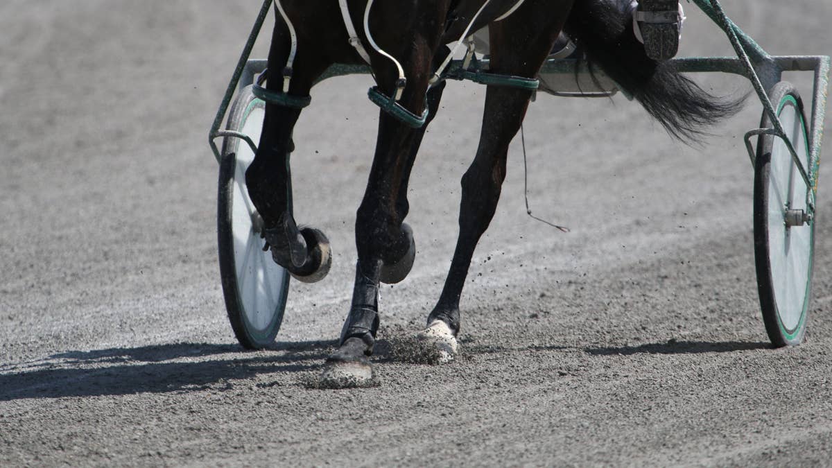 NYRA Announces Charitable Campaign To Support Horsemen Affected By ...