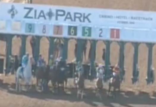 Zia Park - Paulick Report