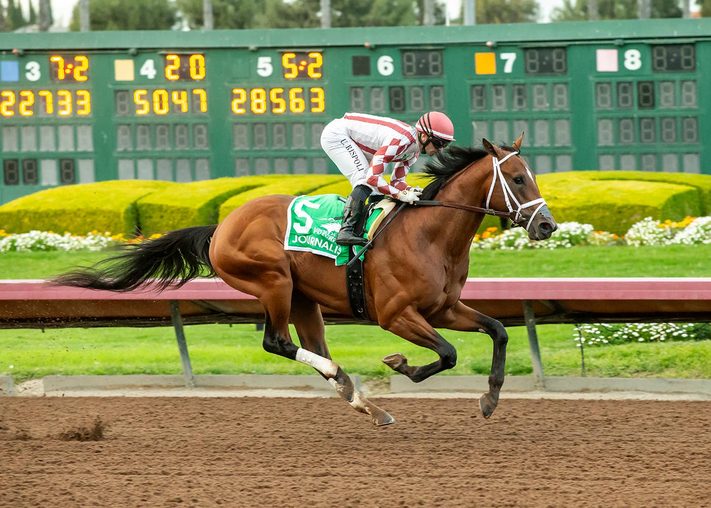 Bloodlines Presented By Walmac Farm: Journalism And The Curlin Club ...