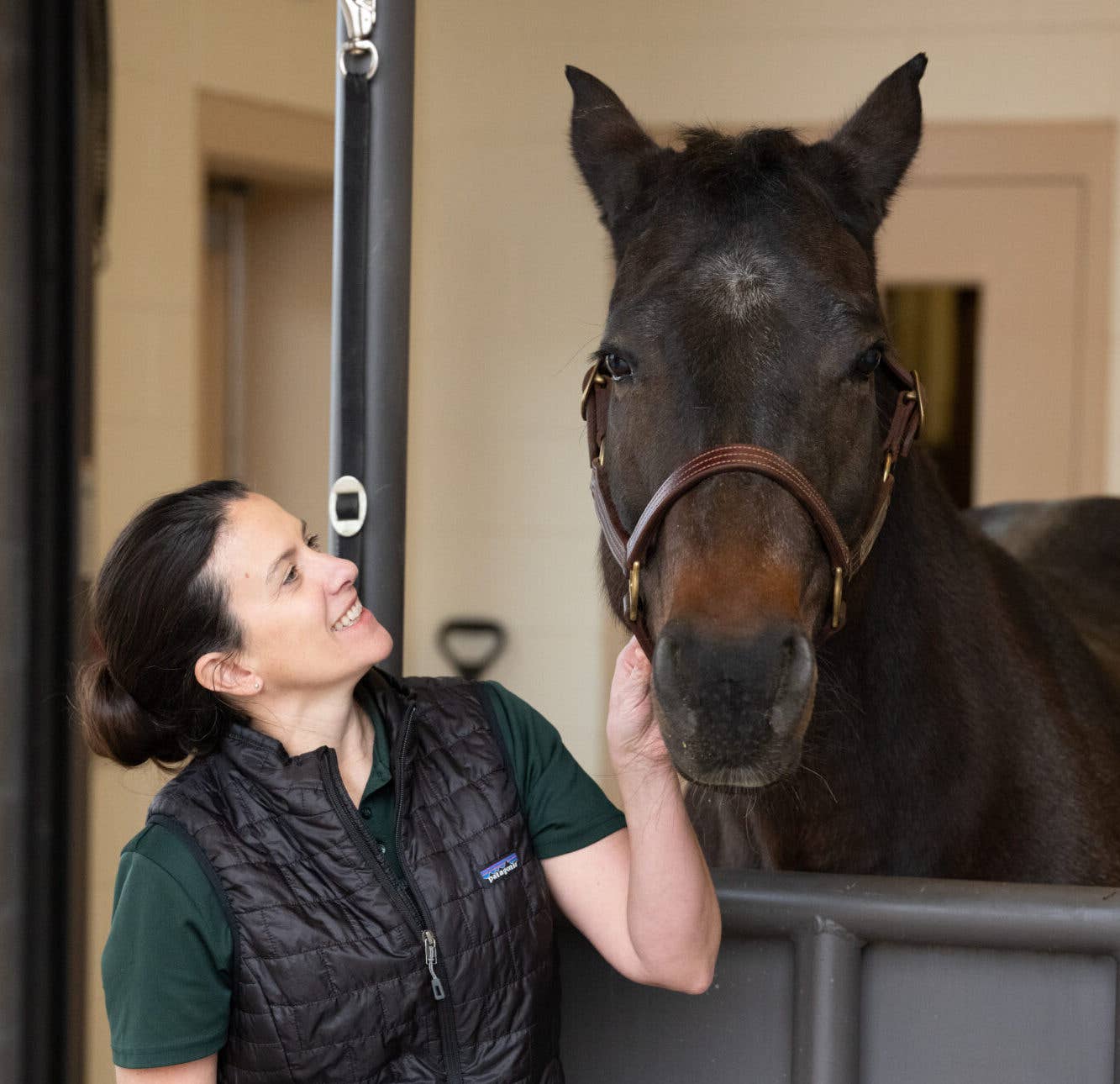 Colorado State Equine Reproduction Vet Leading Research On Human ...