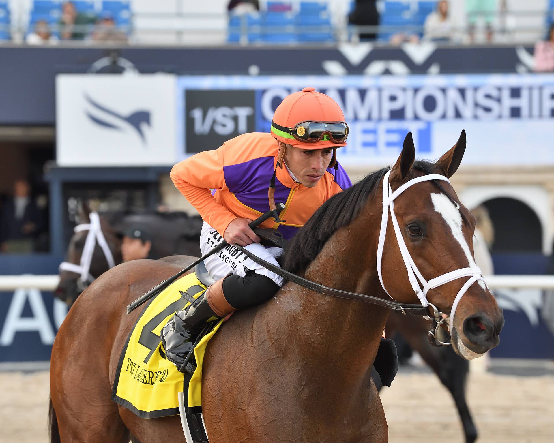 Bloodlines Presented By Walmac Farm: Personal Ensign's Influence On ...