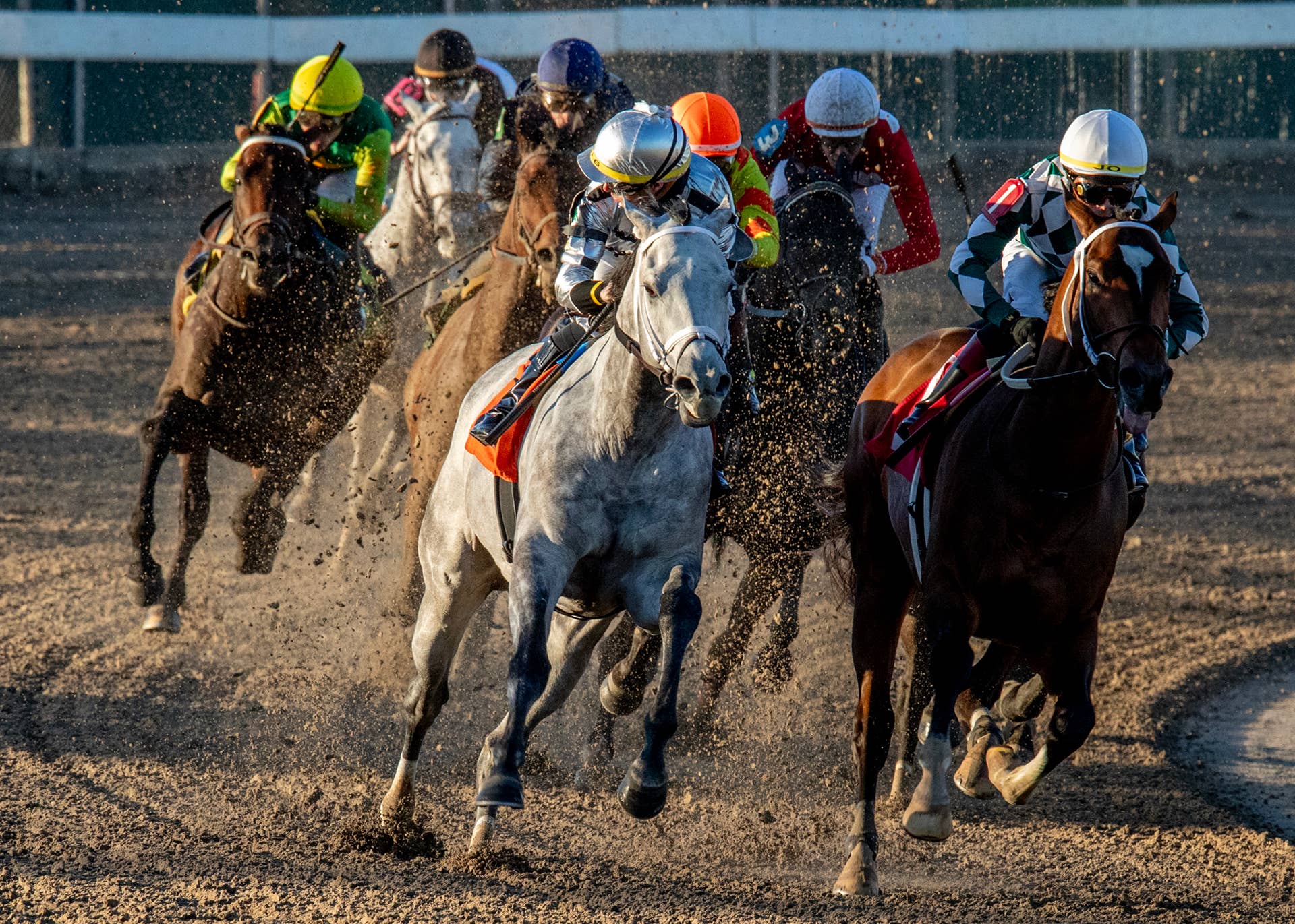 Saudi Crown Wins Tenacious In Near Track-Record Time In Confidence ...