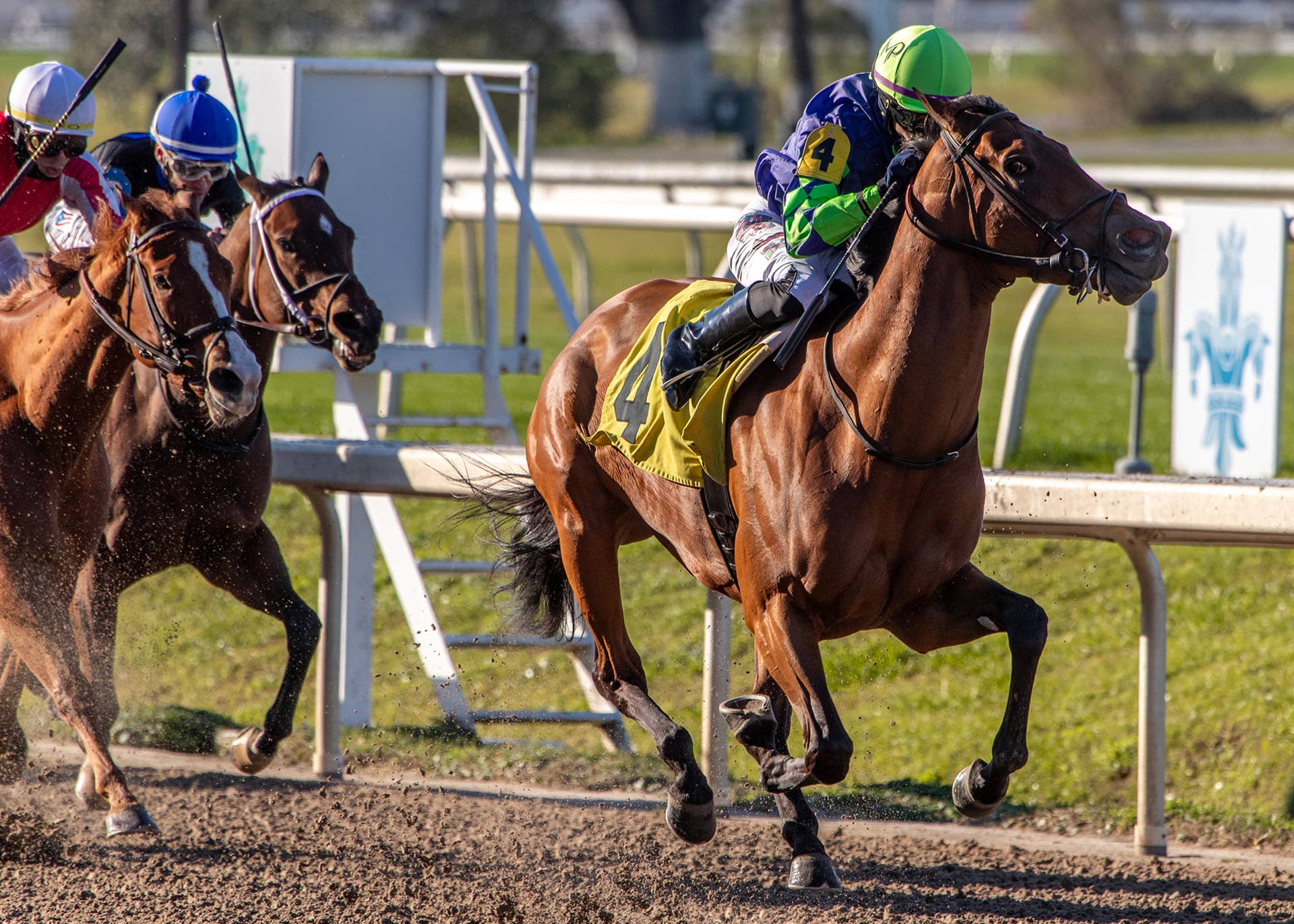 Not On Herb, Classy Judy G Deny Favorites In Louisiana-Bred Stakes At ...