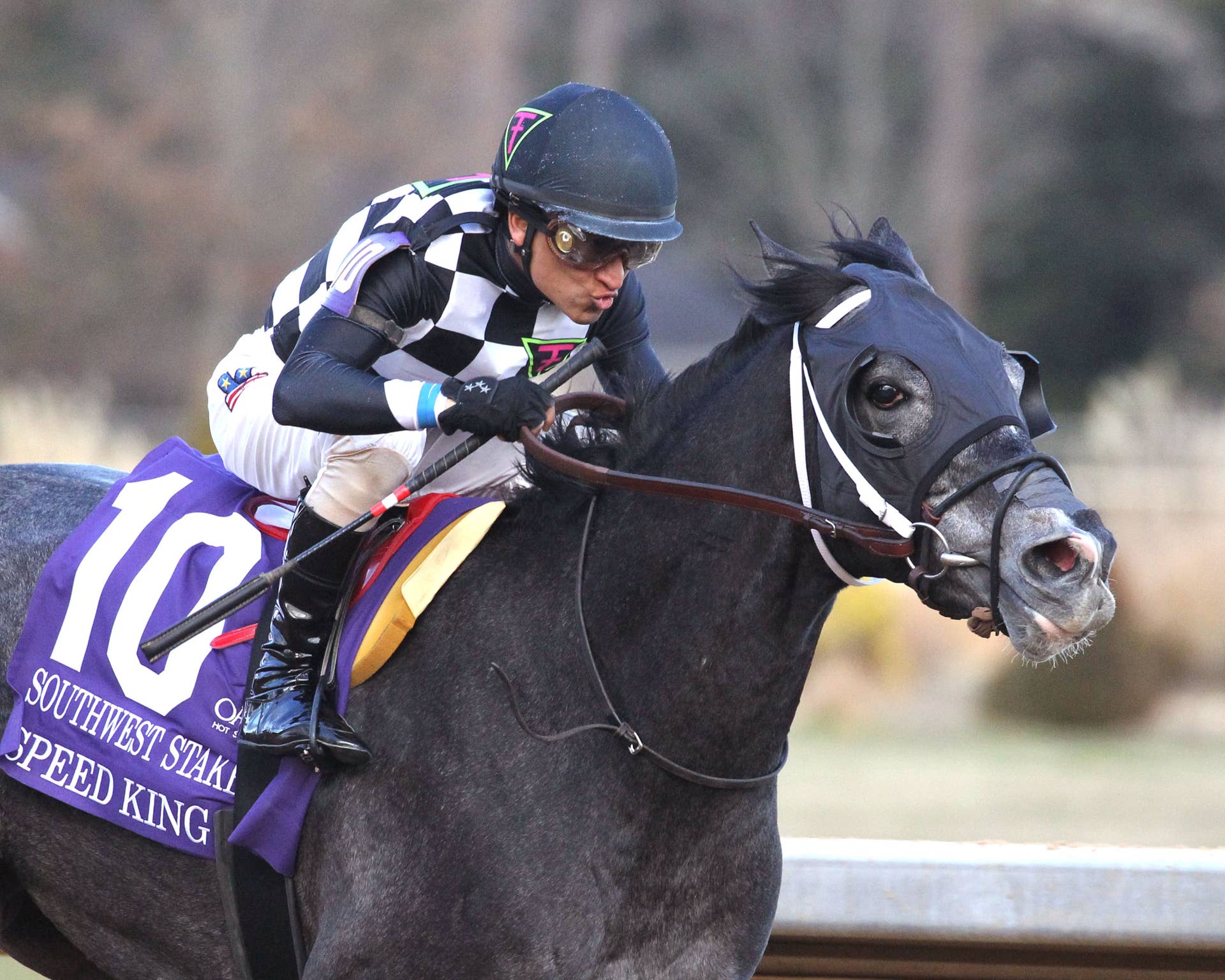 'Leaning Towards The Rebel': Southwest Winner Speed King Stretches Legs ...