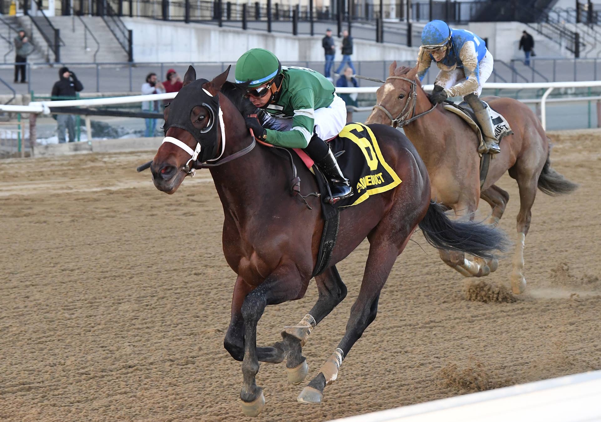 Captain Cook Top Contender For Peter Pan - Paulick Report