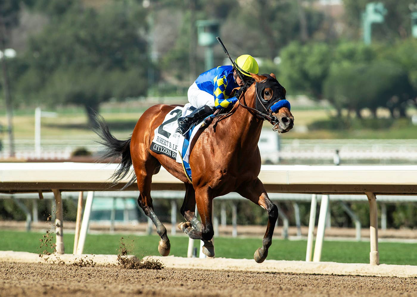 'The Champ Is Back': Citizen Bull Gives Baffert Seventh Consecutive ...