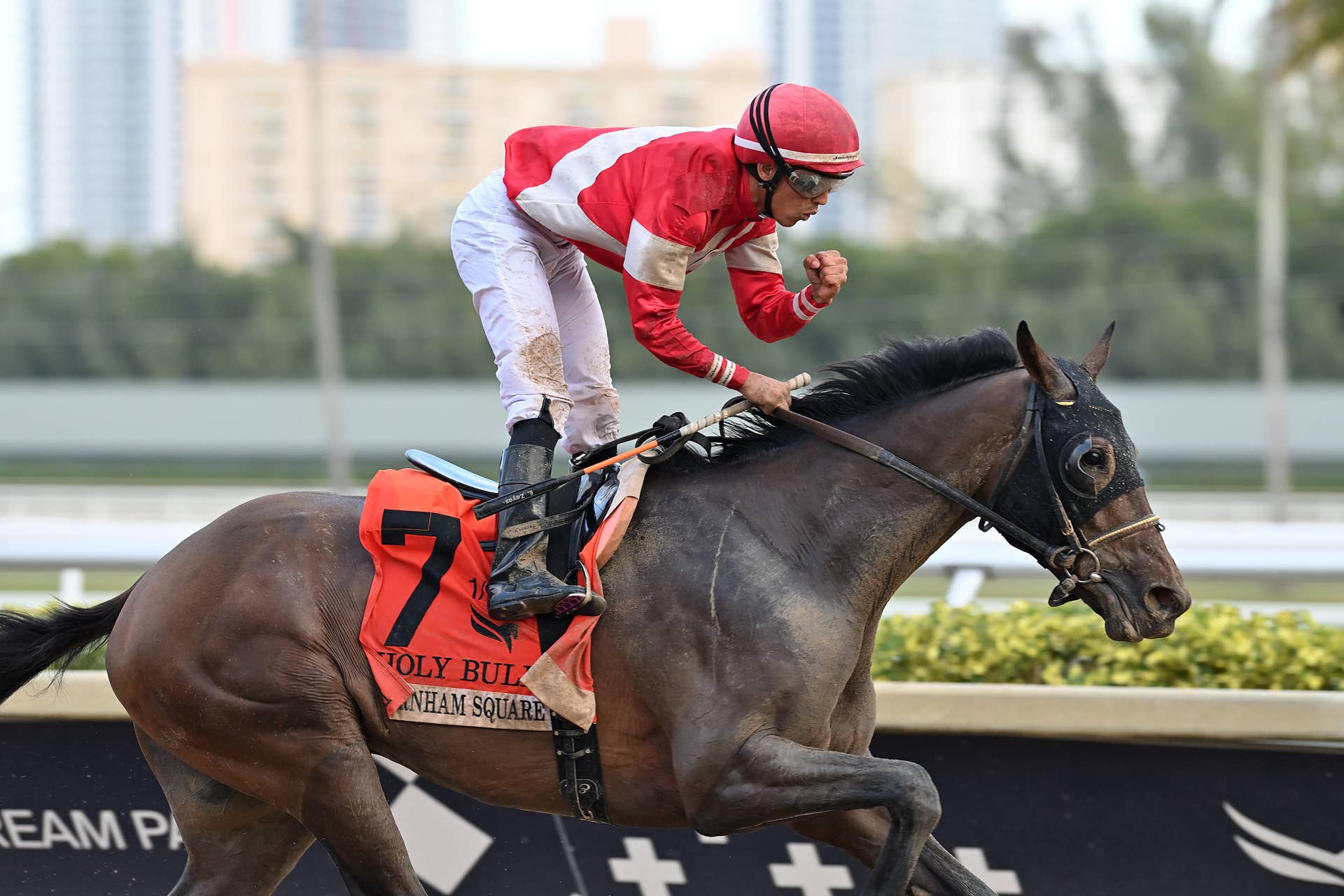 Burnham Square Returns At Gulfstream Park - Paulick Report