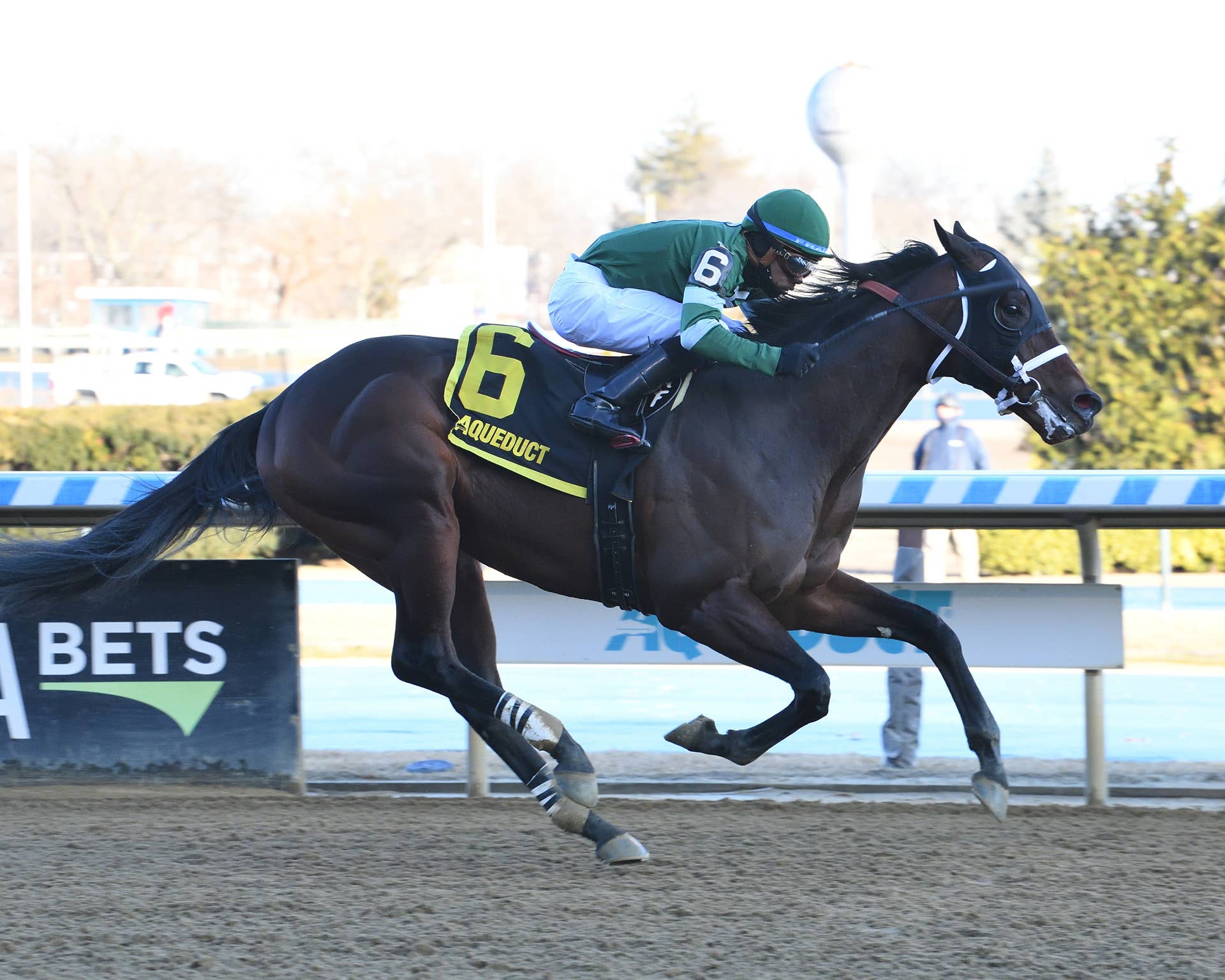 Withers Winner Captain Cook Leads Dozen Entered For Wood Memorial ...