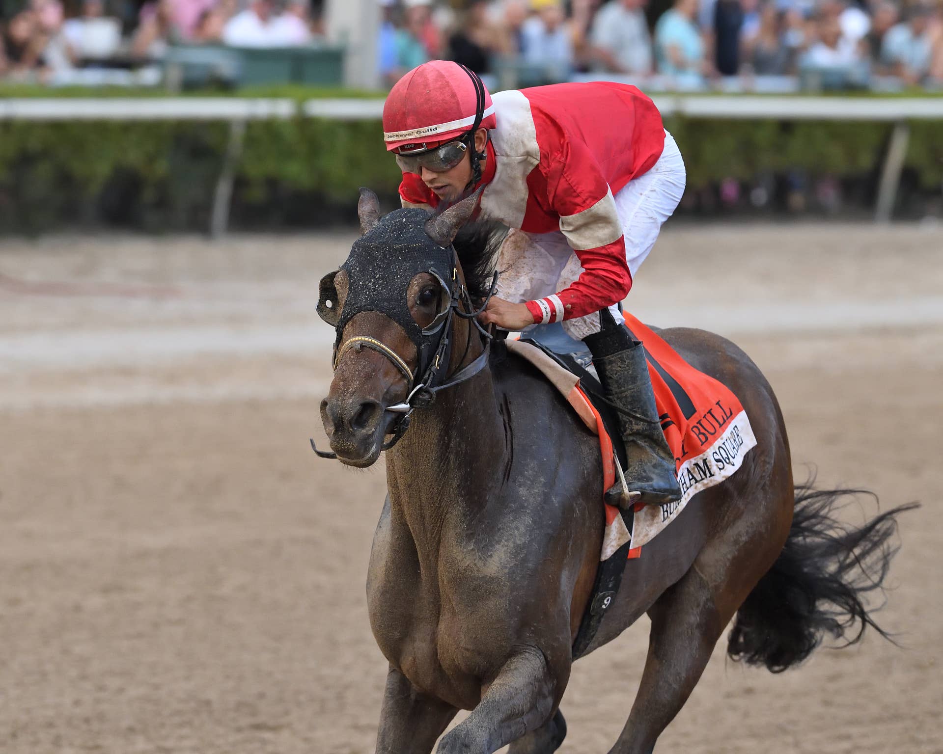 Kentucky Derby Sire Standings Presented By Lane's End: American Pharoah ...