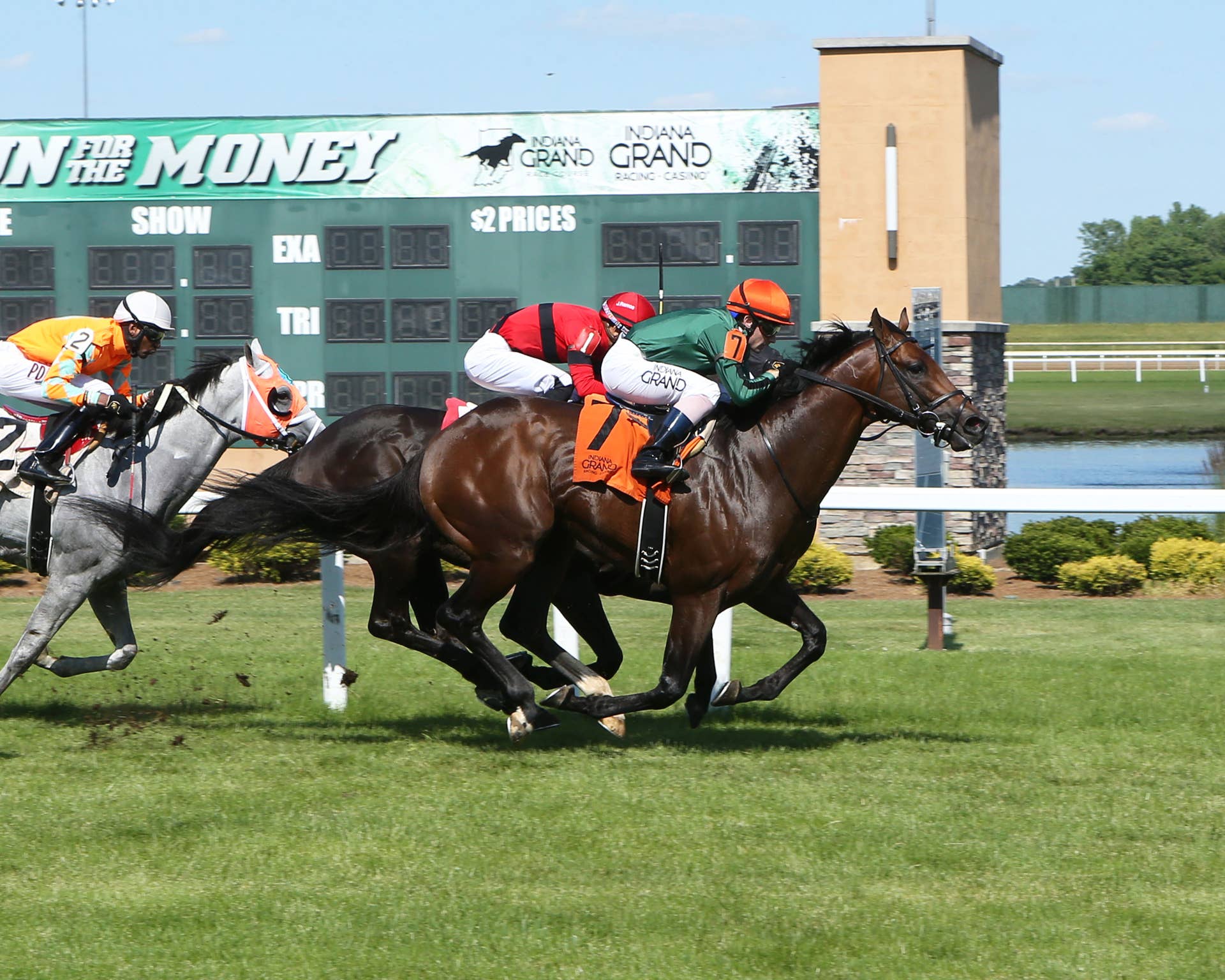 Moonshine Now To Stand At Copper Kettle Performance Horses In Alberta ...