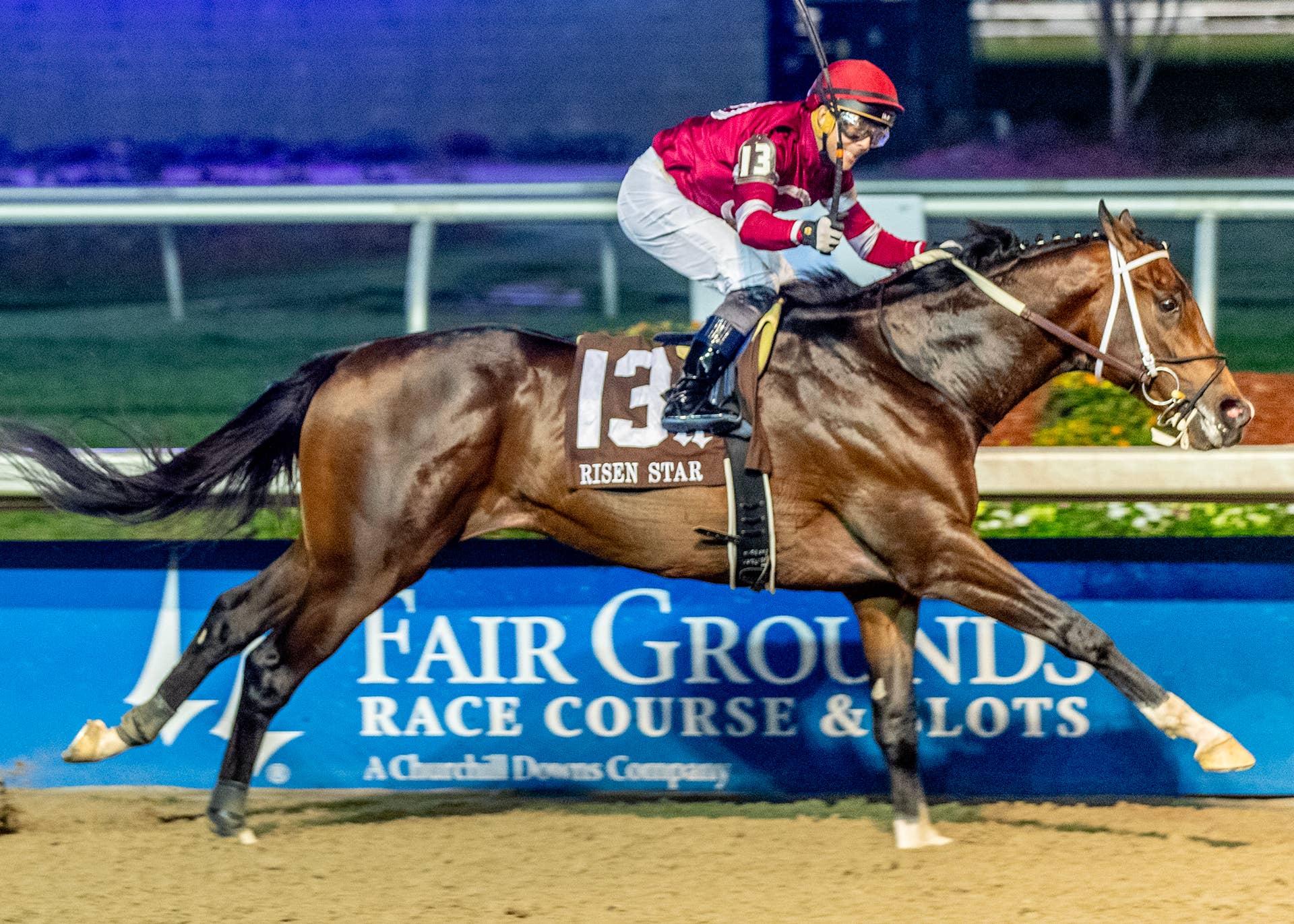 Bloodlines Presented By Walmac Farm: Risen Star Winner Magnitude Has ...
