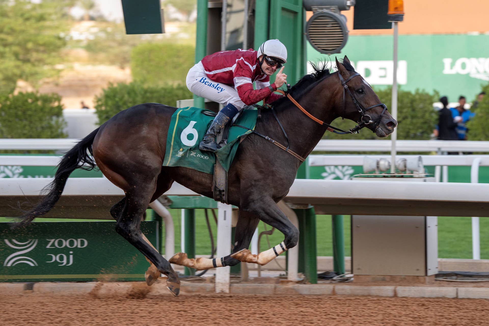 Golden Vekoma Sparkles In Saudi Derby; Takes Aim On UAE Derby - Paulick ...
