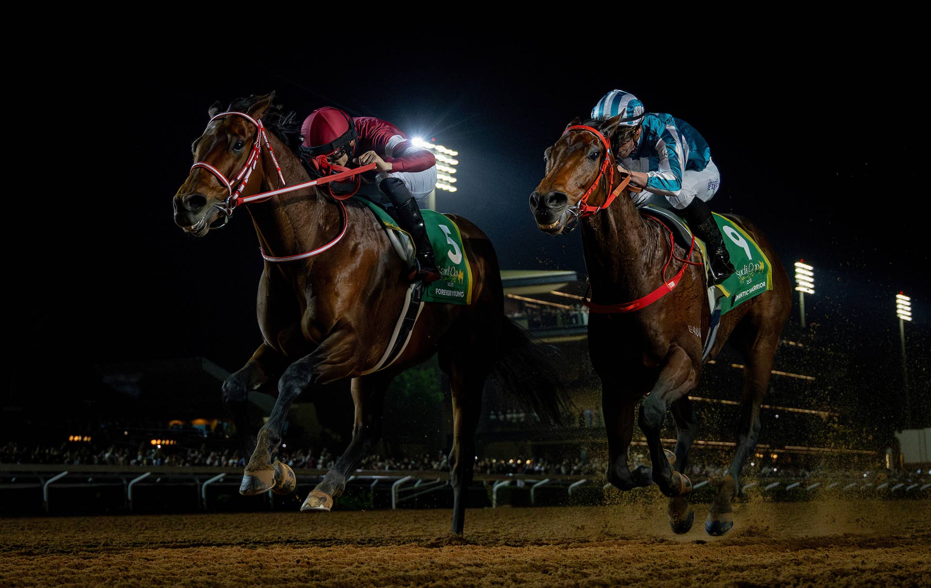 Saudi Cup Nominees Include 2025 Winner Forever Young - Paulick Report