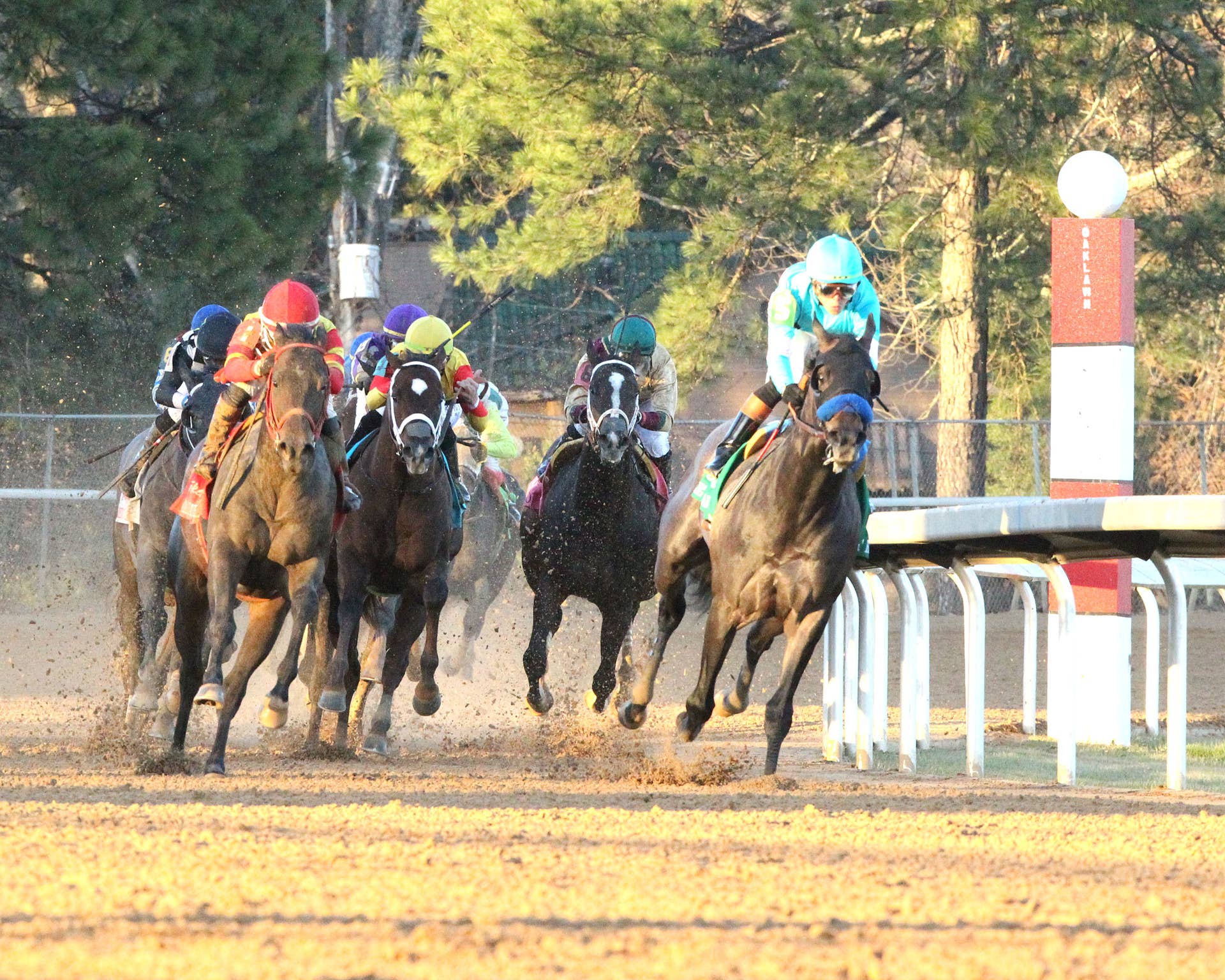 Former Kentucky Derby Hopeful Madaket Road Among Nine For Pat Day Mile ...