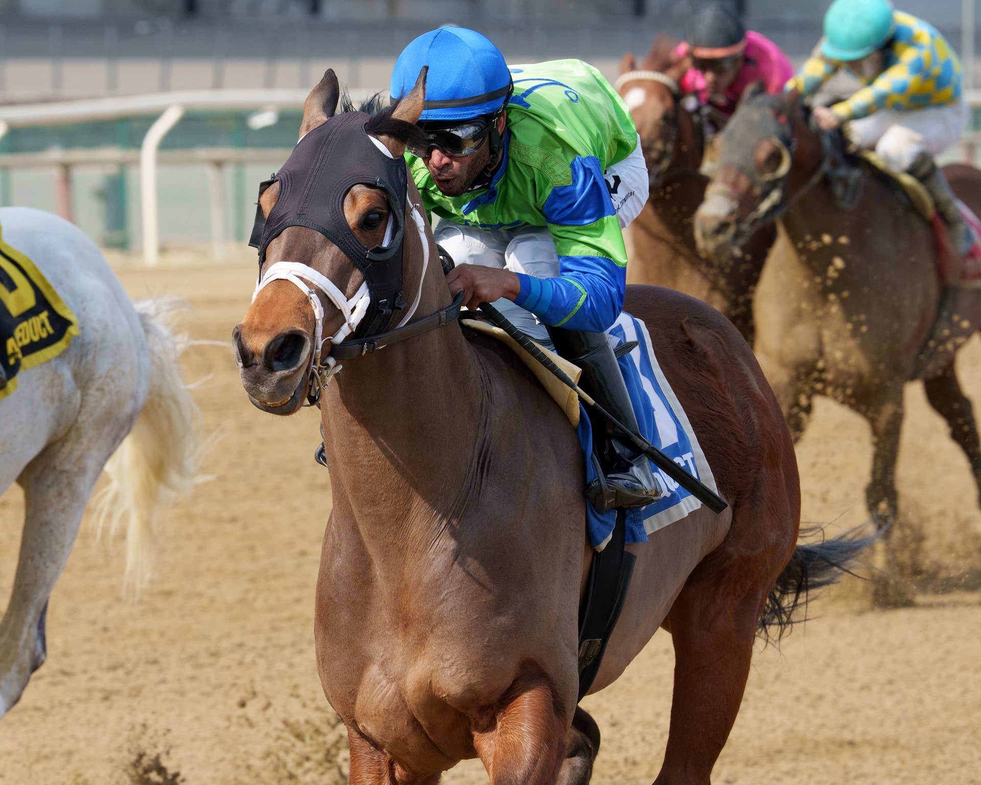 One Nine Hundred ‘On Cruise Control’ For John A. Nerud Stakes - Paulick ...