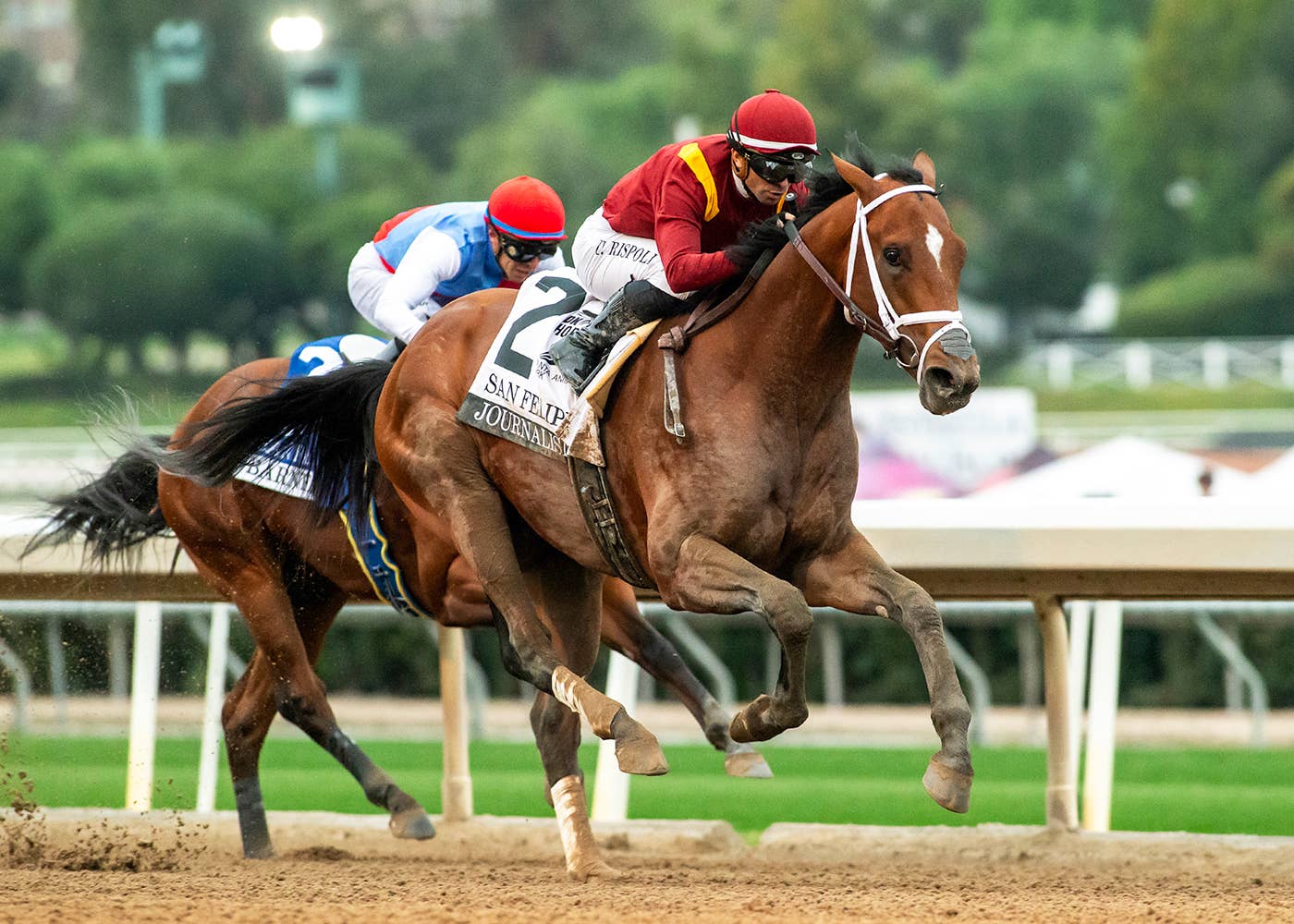 Bloodlines Presented By Walmac Farm: Through Journalism, Curlin ...