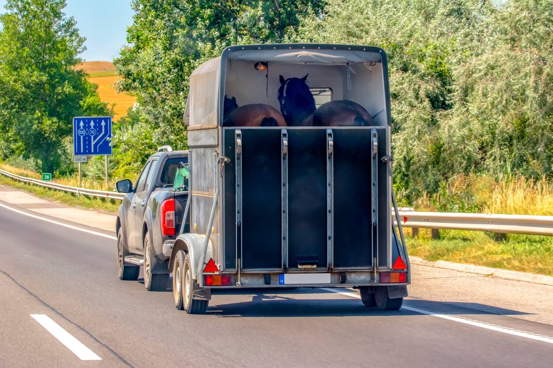 Horse Trailer - Paulick Report