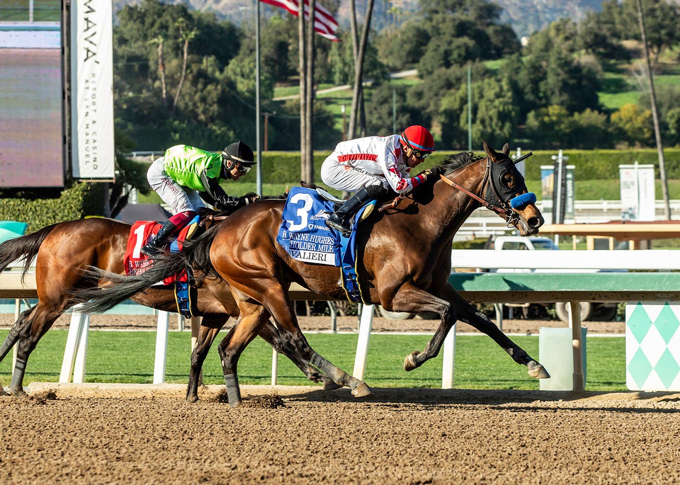 'An Alpha Female': Grade 1 Winner Cavalieri Retired, Mating Plans ...