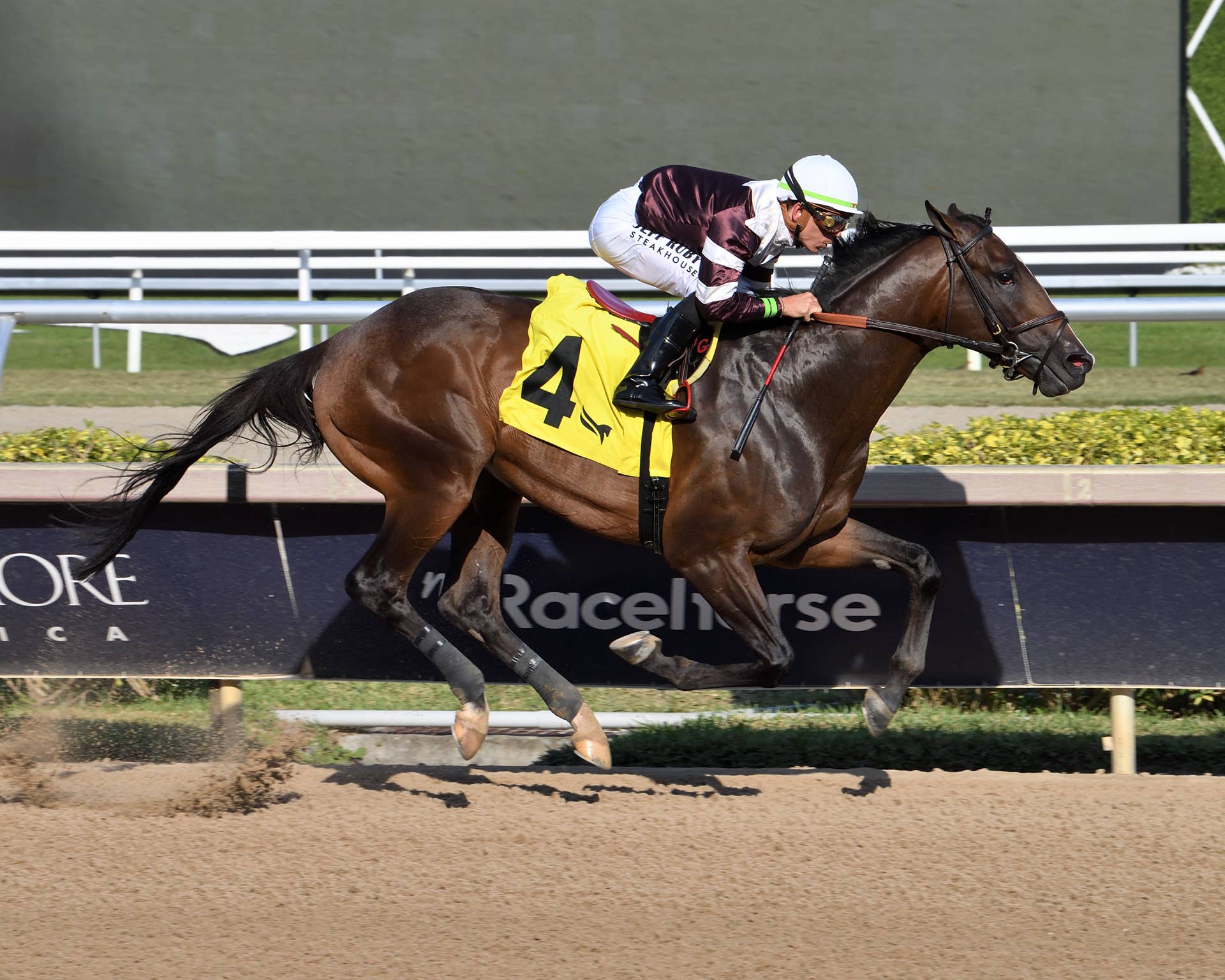 'Fired Big Today': Praetor Has Connections Derby Dreaming After ...