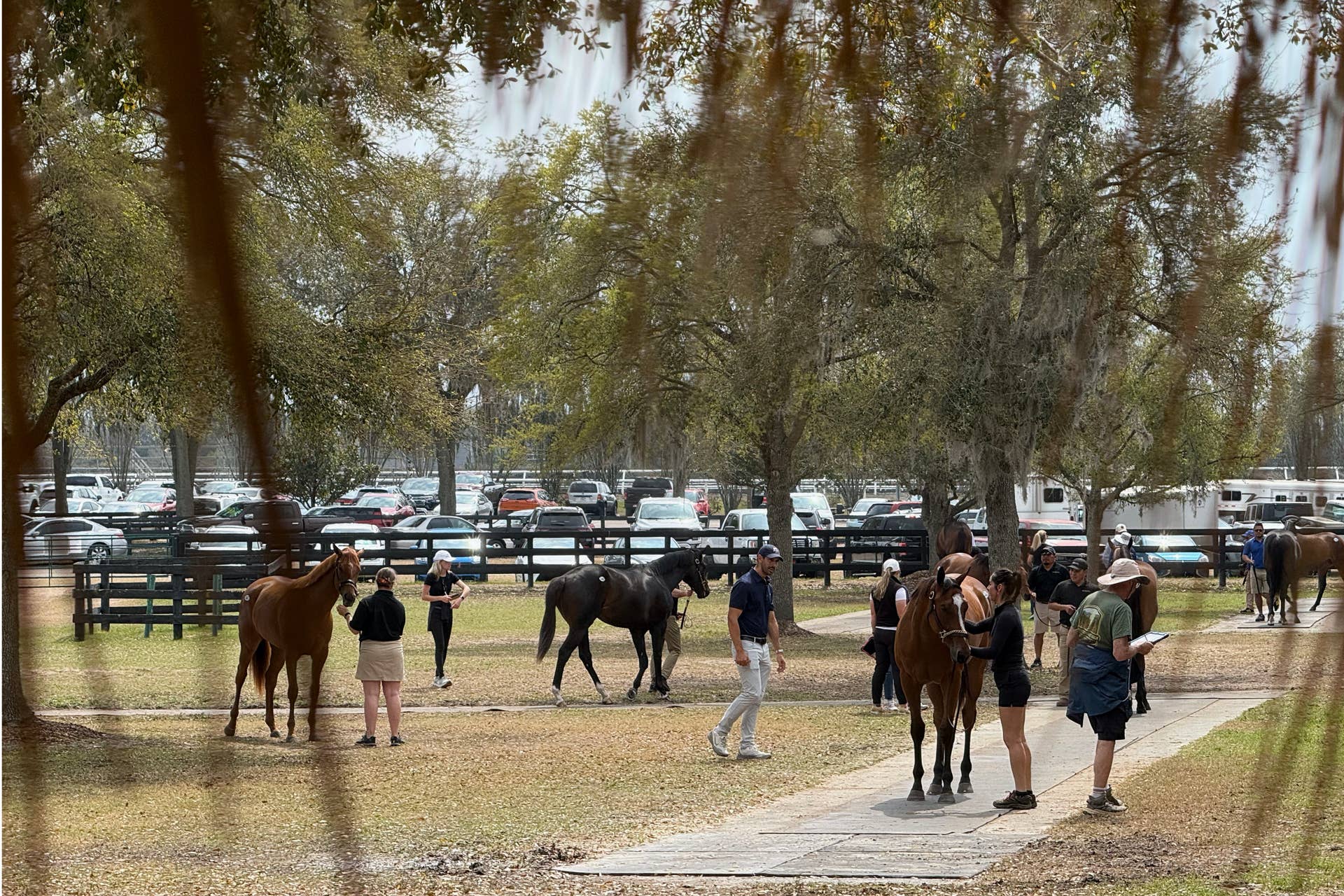 OBS Spring Sale Looks To Continue Momentum During Four-Day Run ...