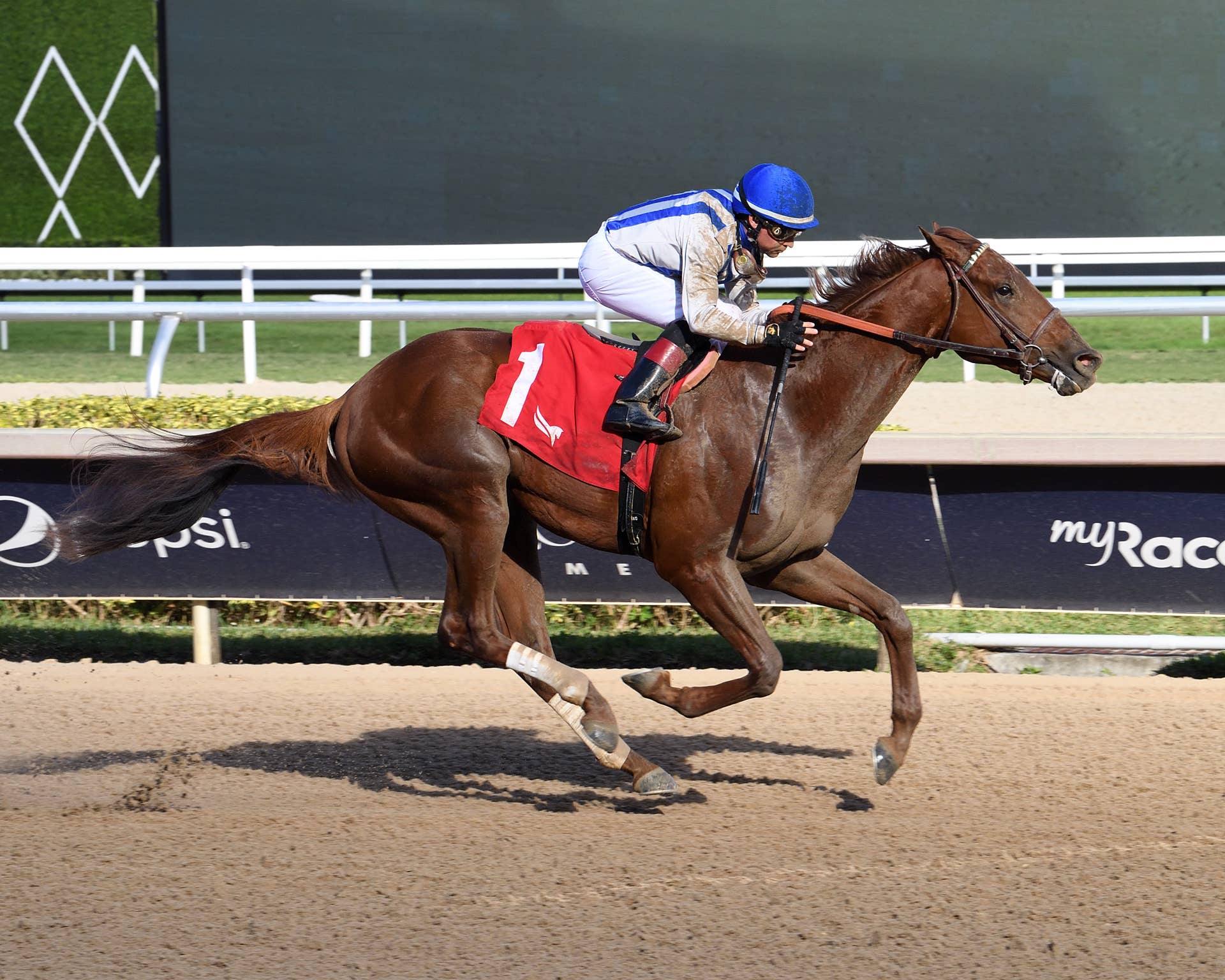 Catalog For 2026 Keeneland April Selected Horses Of Racing Age Sale Now ...