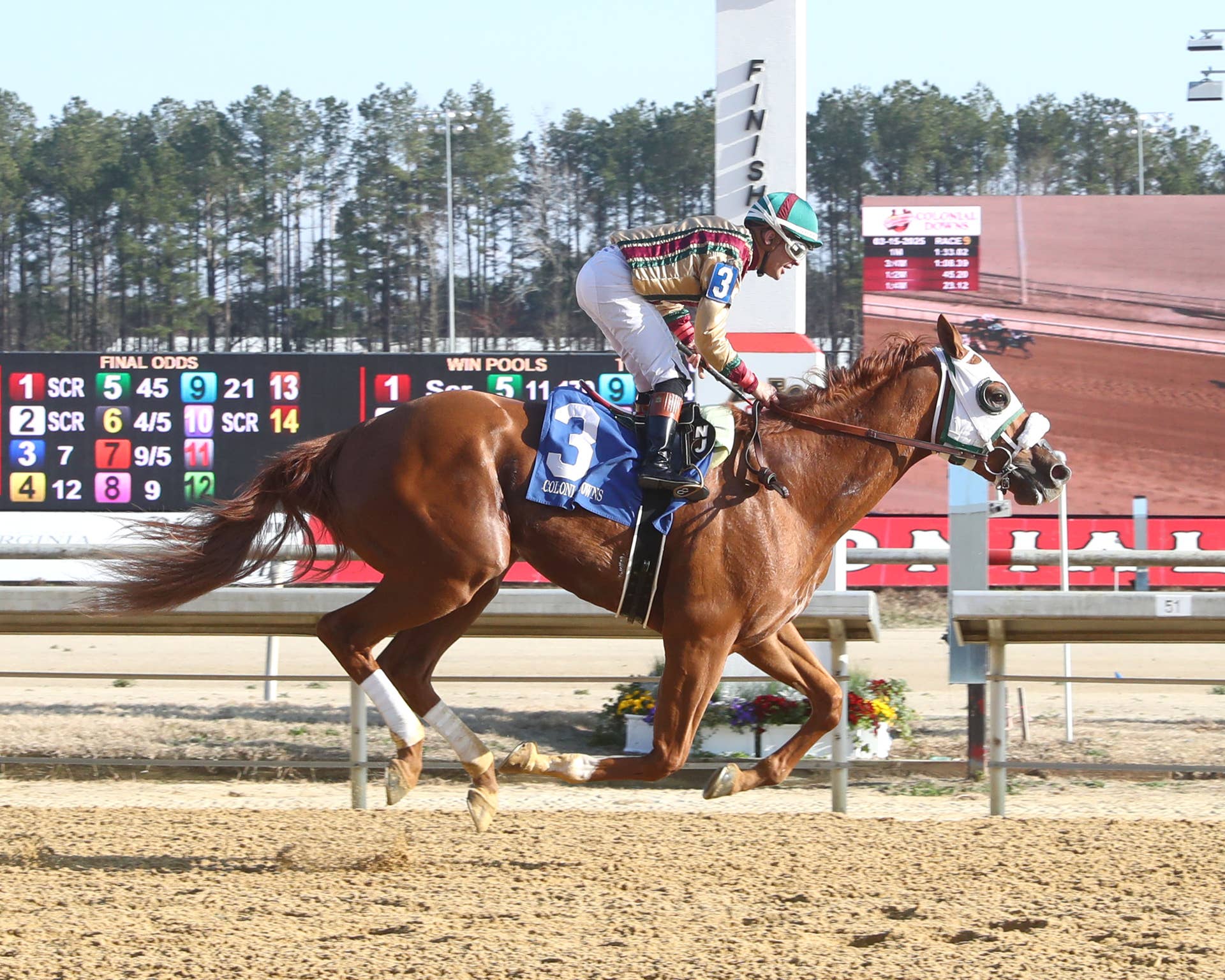 Bloodlines Presented By Walmac Farm: American Promise Delivers On His ...