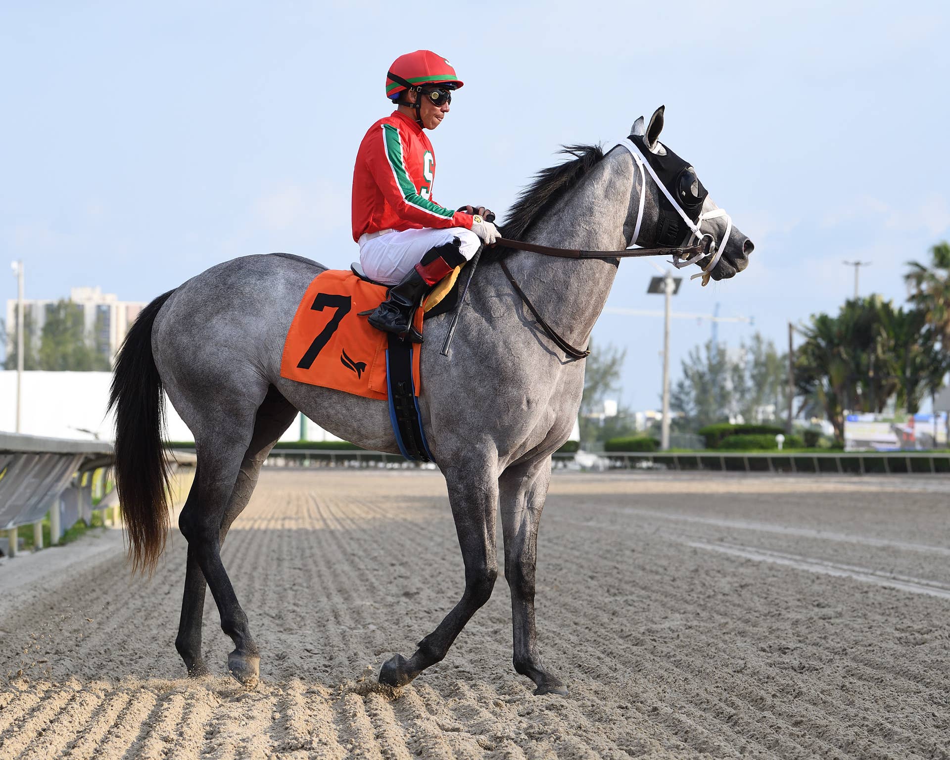 Royal Ascot Runner Up Gabaldon Returns To Action In Saturday's Texas ...