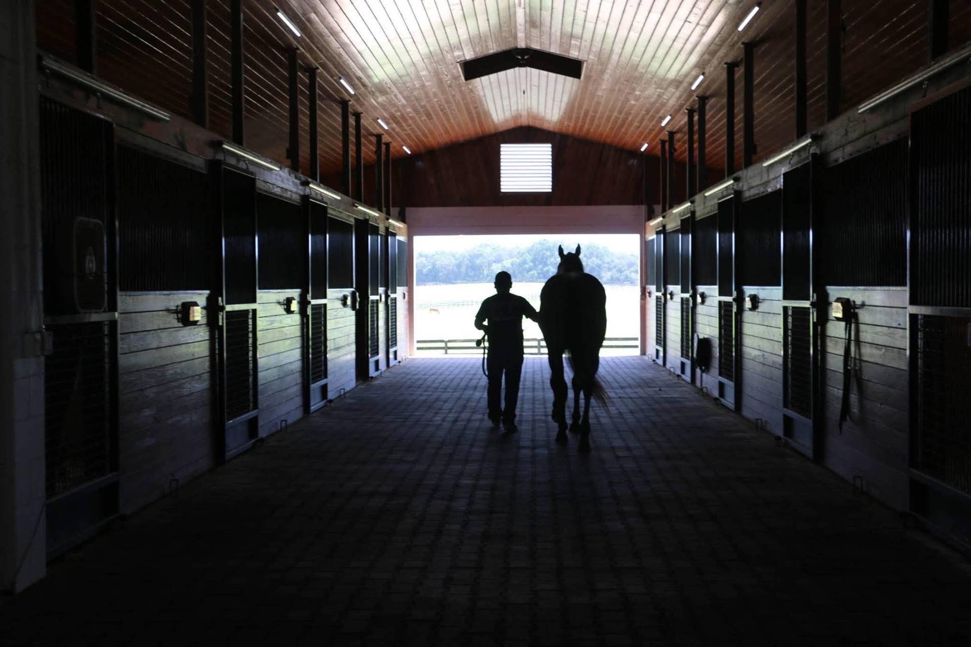 The 2025 Breeding Season Exit Survey: Part 1 - Airdrie Stud, Ashford ...