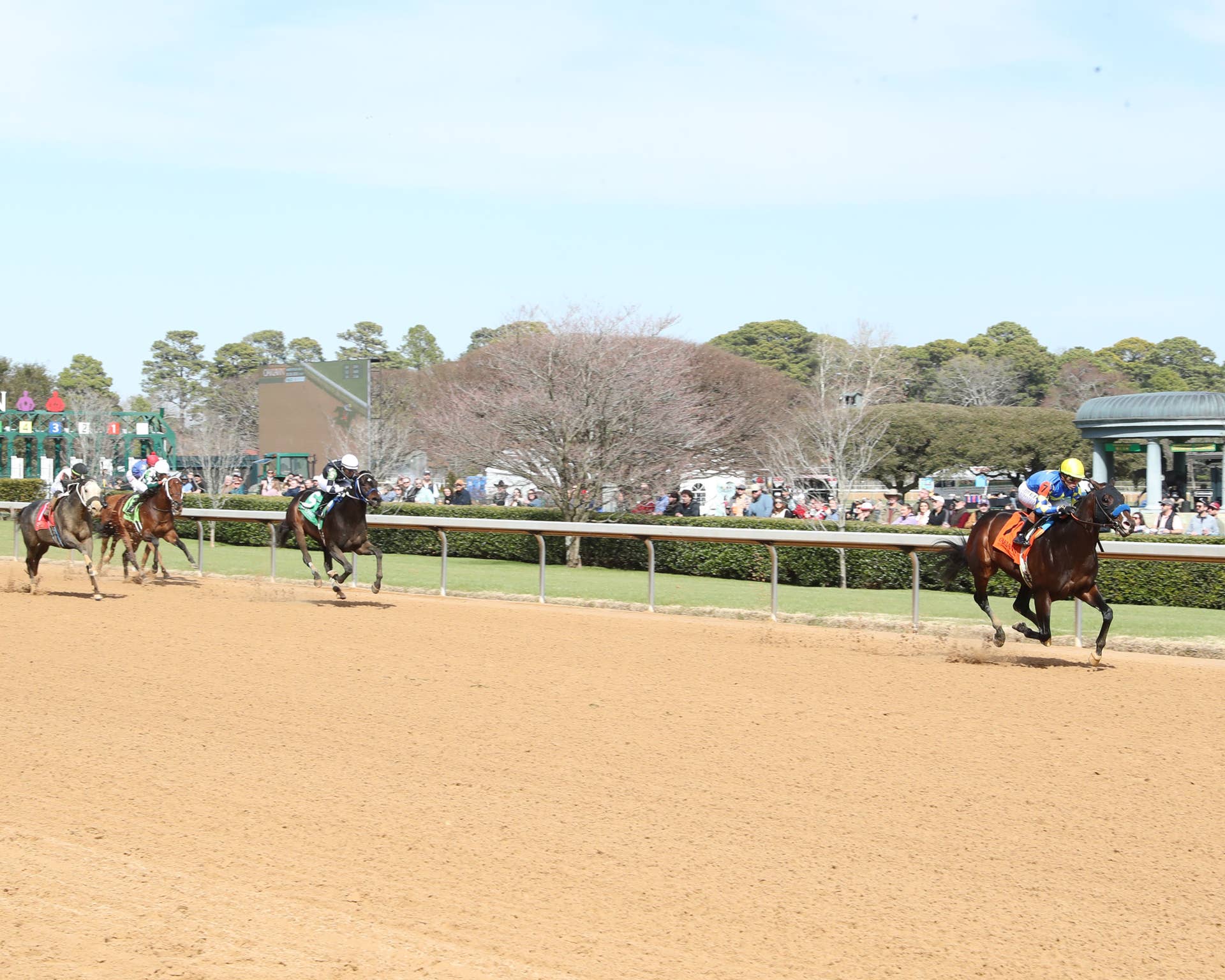 Debut Winner Cornucopian Tabbed Morning-Line Favorite In Arkansas Derby ...