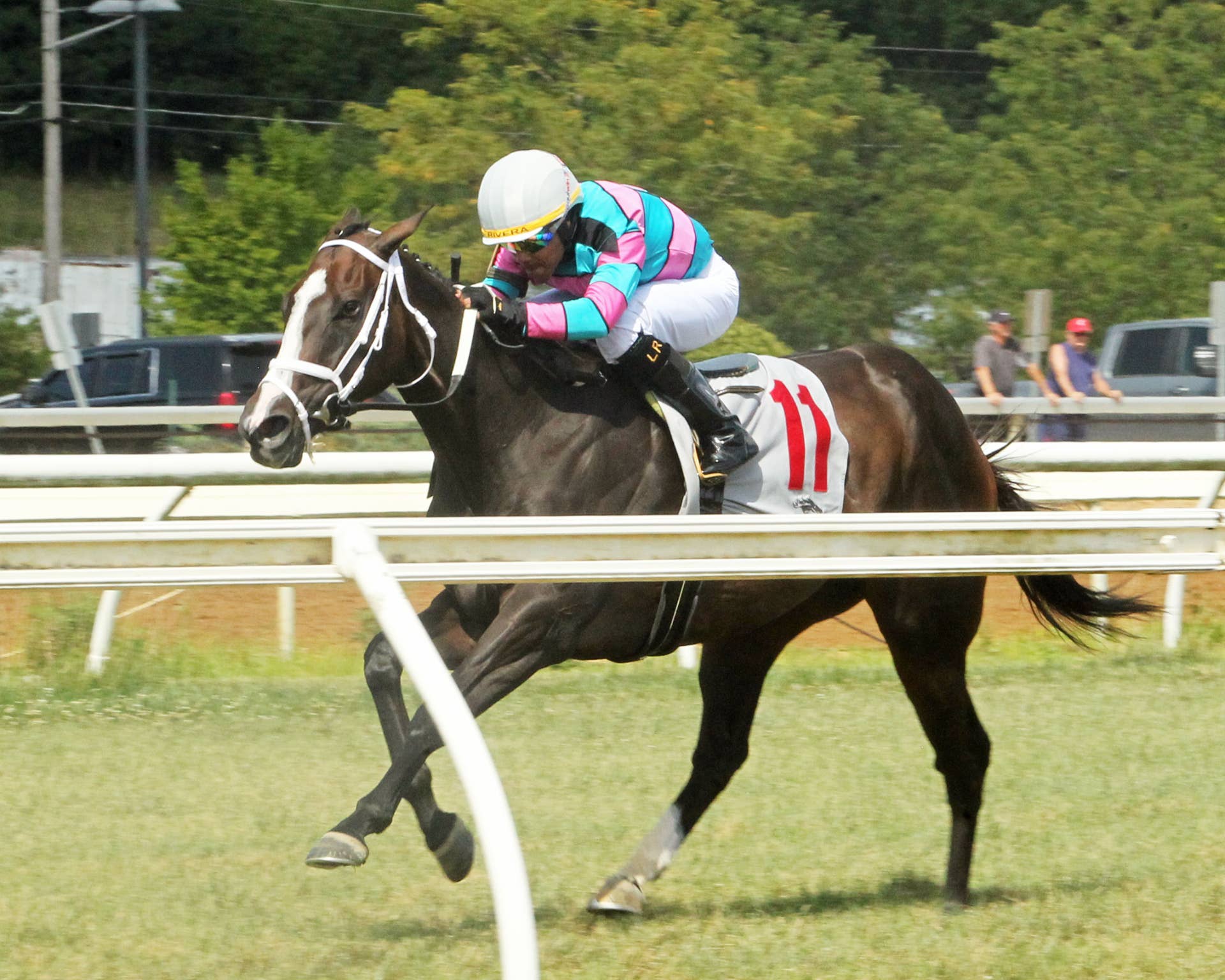 Generous Lover Named Ohio's 2024 Horse Of The Year - Paulick Report