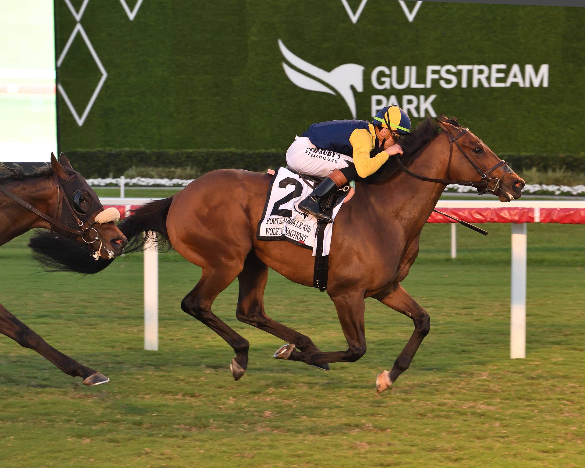 Record Setter Wolfie’s Dynaghost Returns In Canadian Turf - Paulick Report