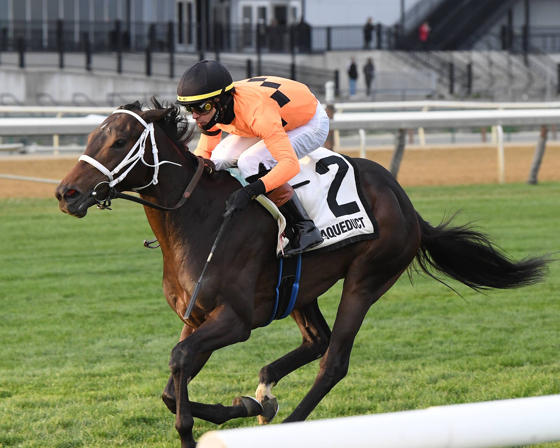 3YO Fillies Start New Year In Turfway Park's Gowell Stakes - Paulick Report