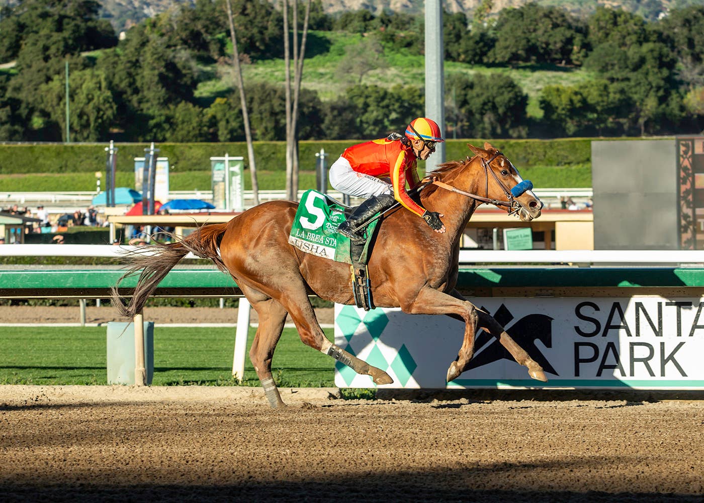Bob Baffert Trainee Usha Faces Seven Rivals In Winning Colors Stakes ...