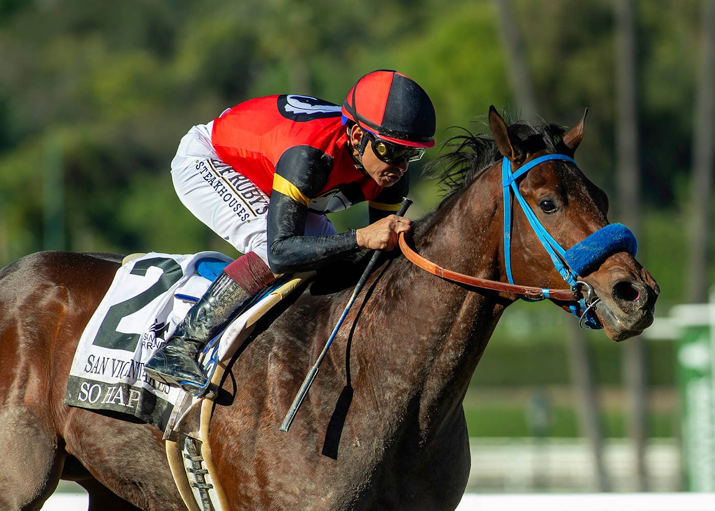 Kentucky Derby Pedigree Corner Presented By FanDuel Racing: Commandment ...