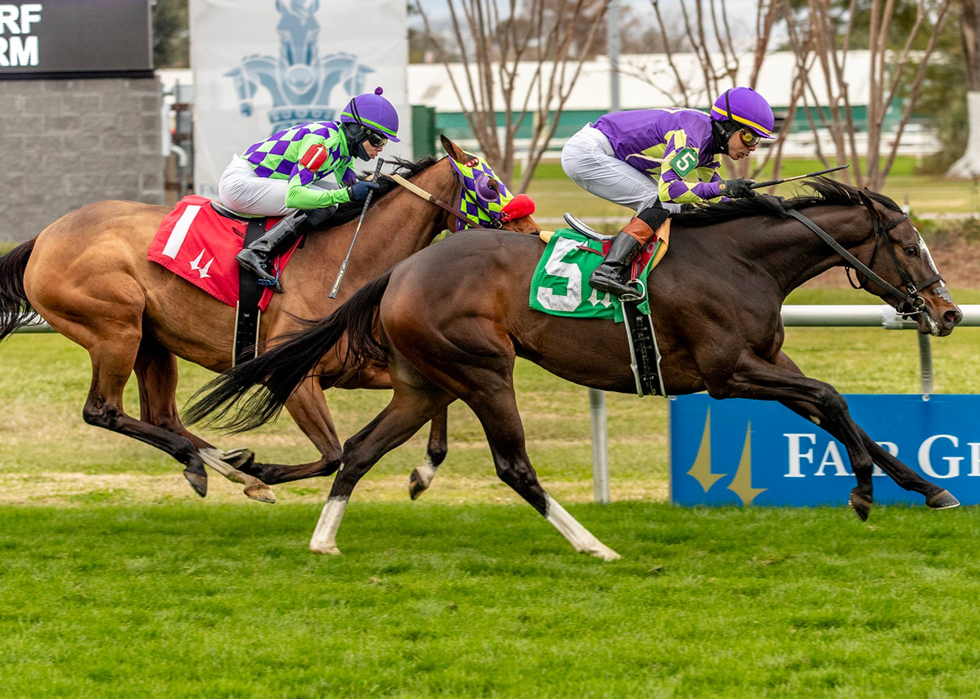 California Shipper Medoro Runs Down Pacesetter Late In Marie Krantz ...