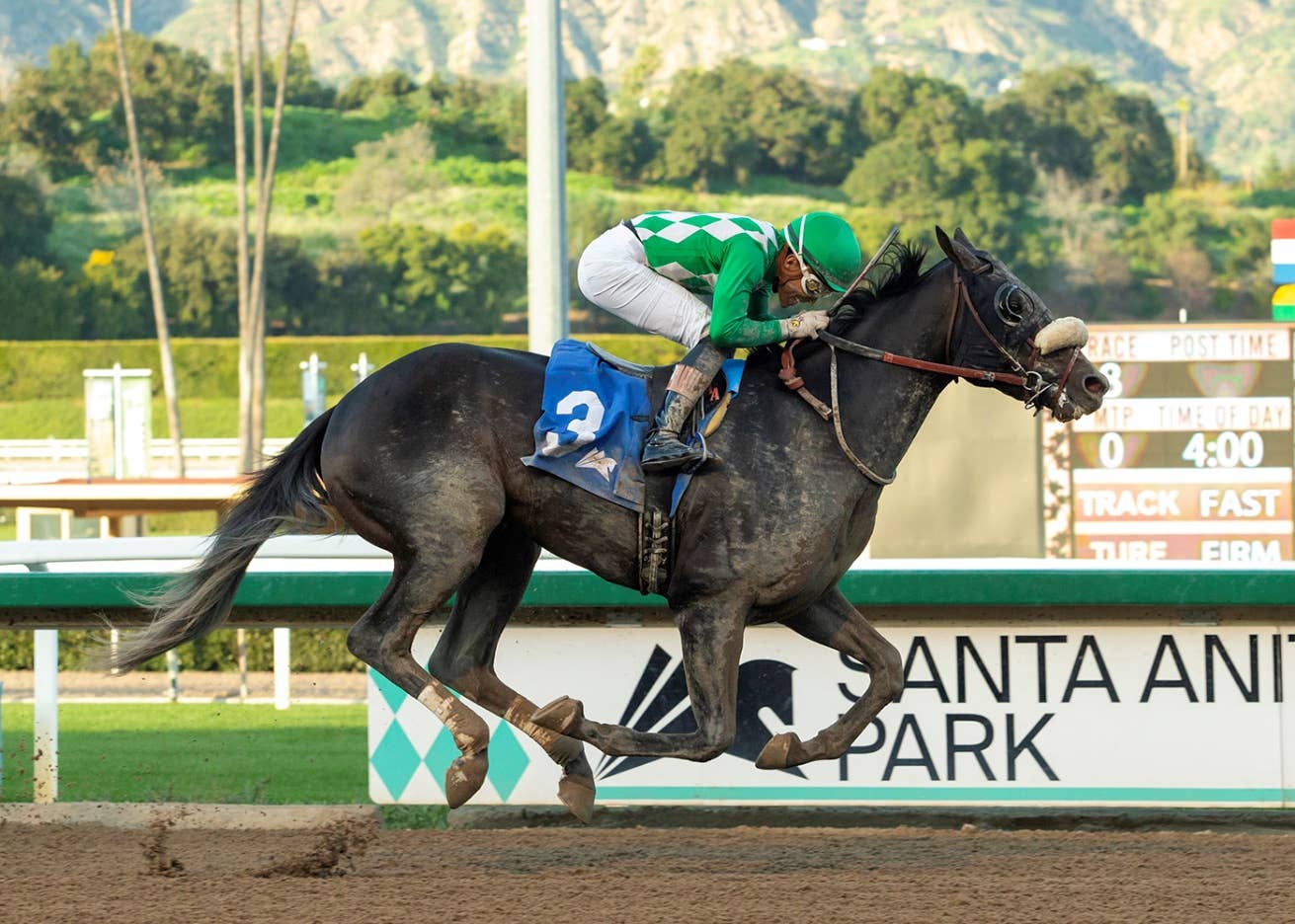 Start the Ride Breaks Maiden In Cal Cup Derby - Paulick Report