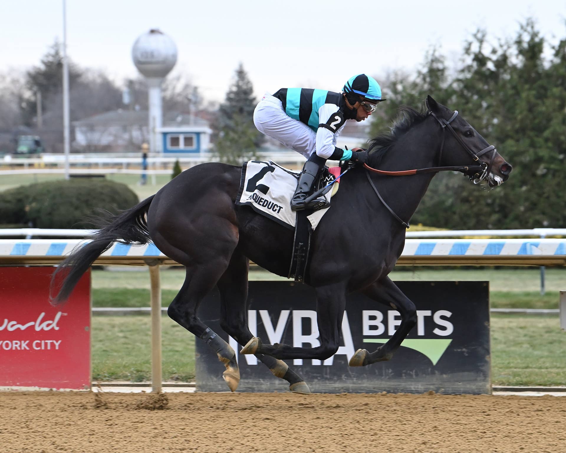 'Derby Fever Is A Real Thing:' NY-Bred Maiden Winner Fourth And One To ...