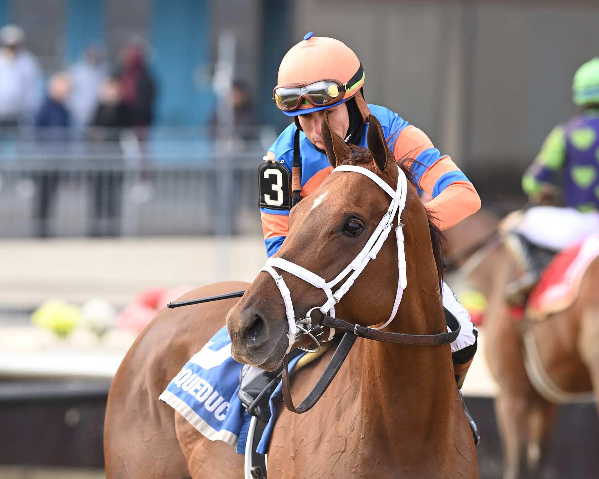 Zany Headlines Preliminary Ashland Stakes Field - Paulick Report
