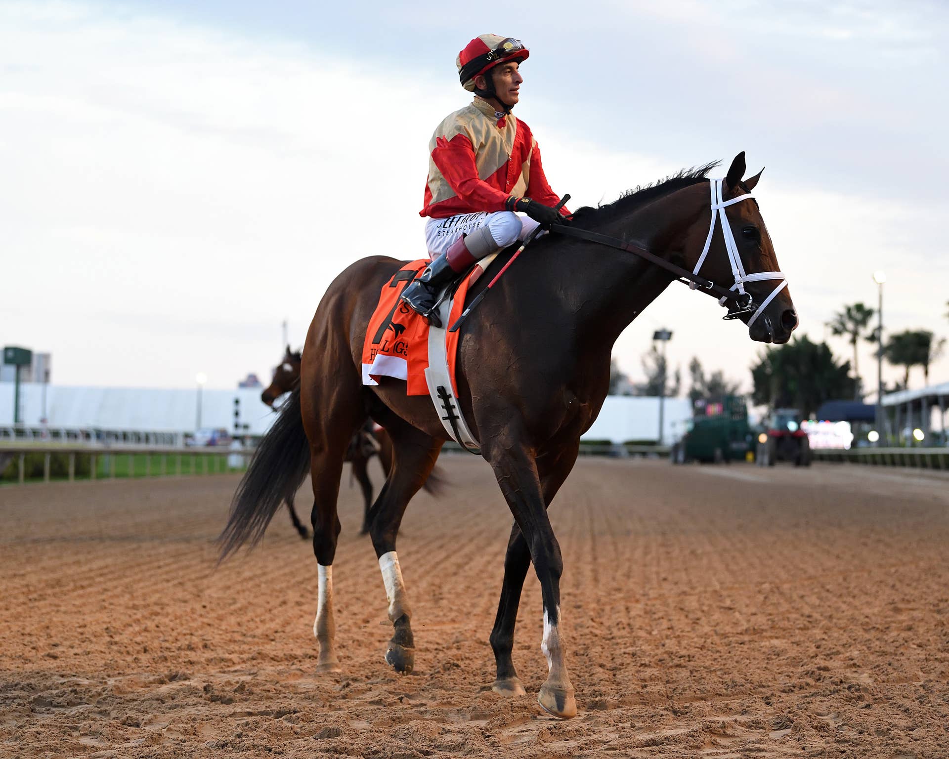 Bloodlines Presented By Walmac Farm: Nearly All Roads Lead To La ...