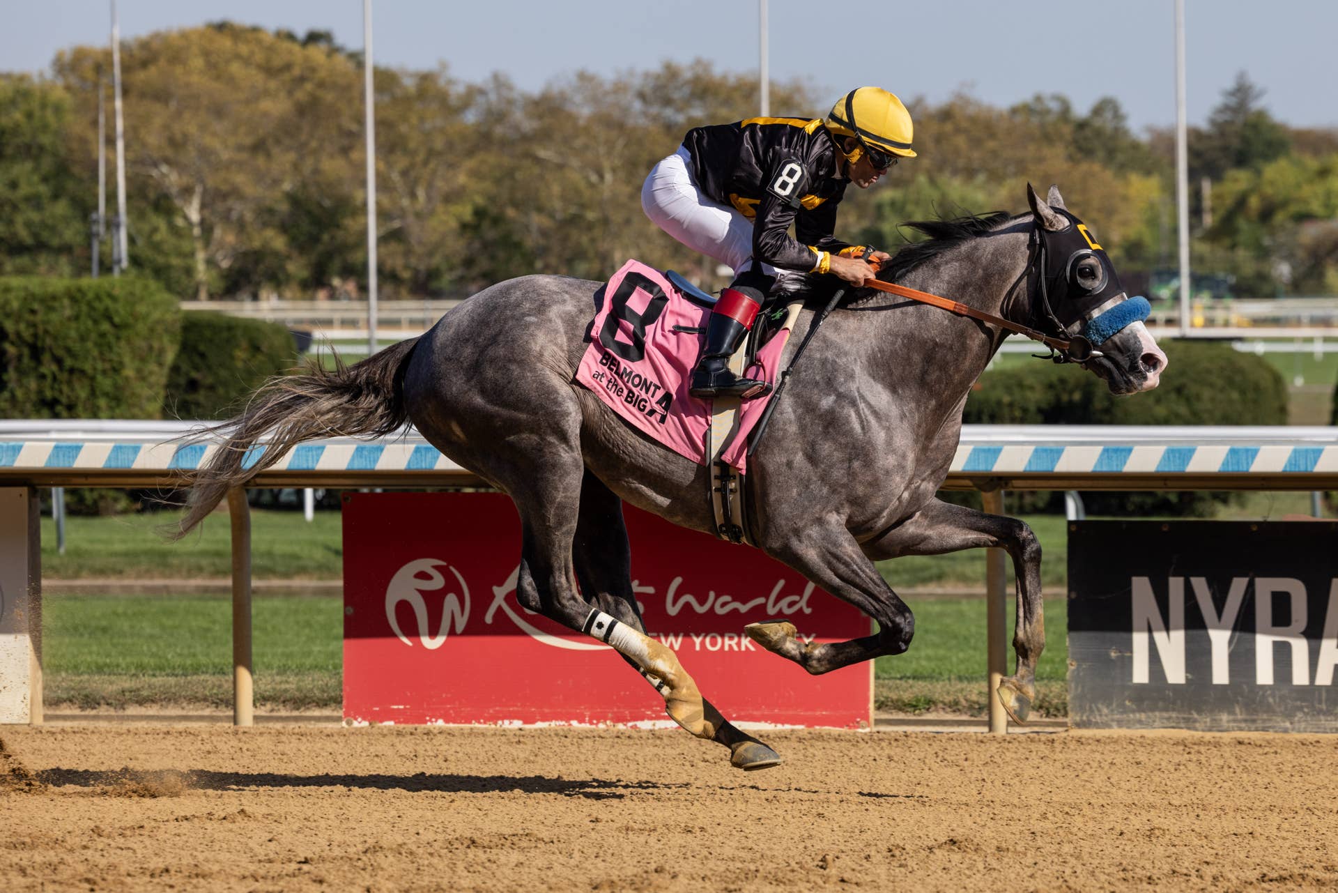 Napoleon Solo ‘Just Got Tired,’ Remains On Kentucky Derby Trail ...