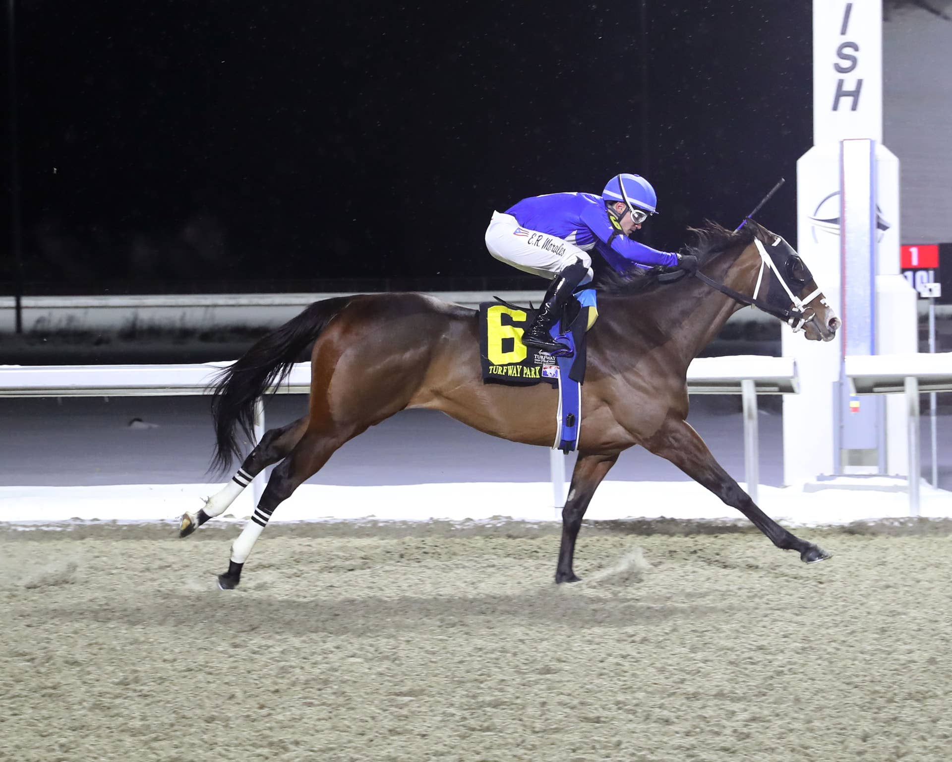 Ms. Tart Pulls Mild Upset In Wishing Well - Paulick Report