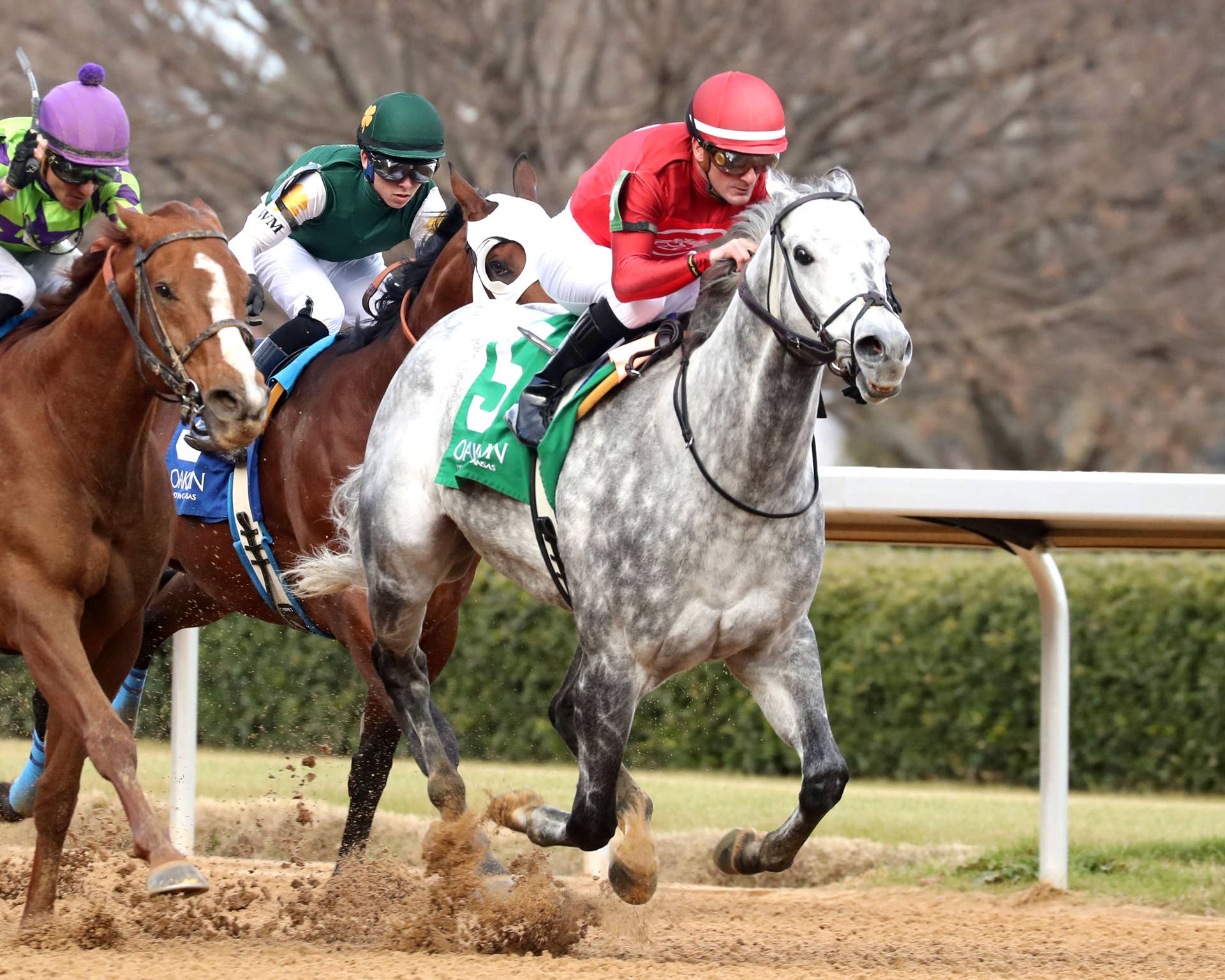 Roll On Big Joe Tries Keep Rolling In Count Fleet Sprint Handicap ...